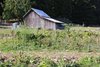 Savor the San Juans: Orcas Island Farm Tour — Finding the Extraordinary ...