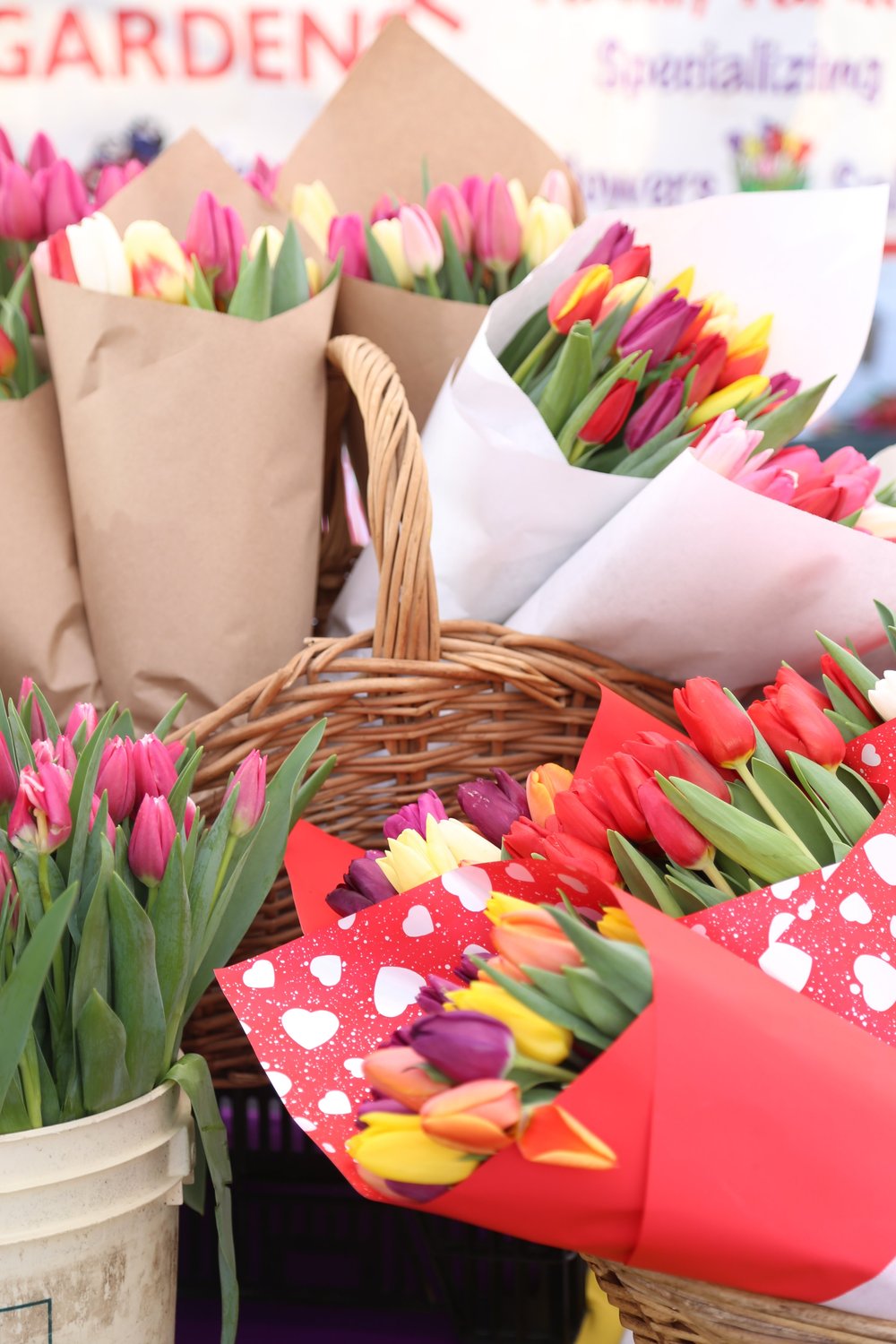 Valentine's Day 2017 — Finding the Extraordinary in the Ordinary
