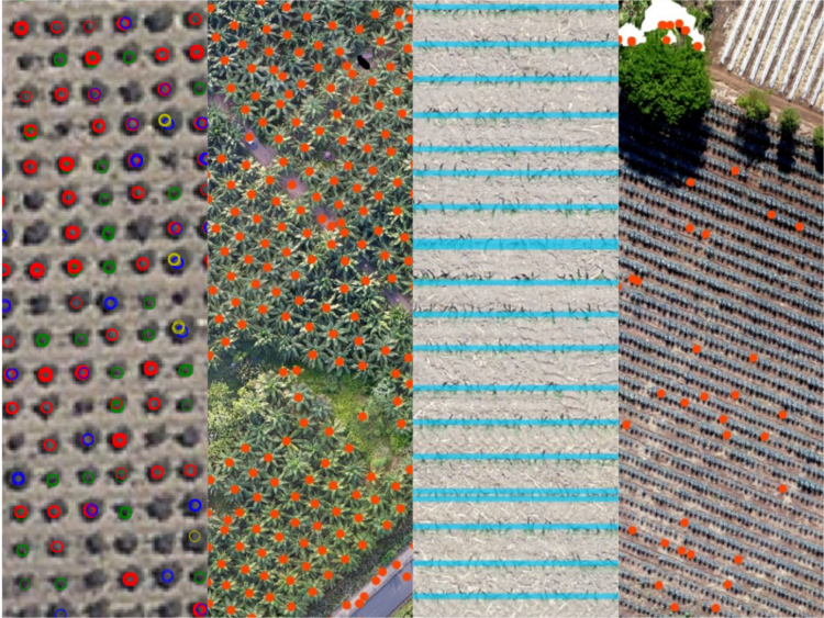 Curso Virtual de Identificación de Cultivos con Geomachine Learning y ...