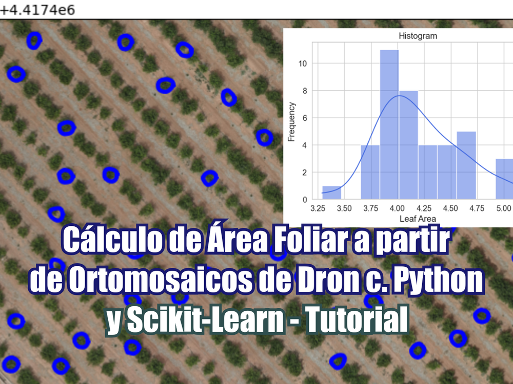Cálculo de Área Foliar a partir de Ortomosaicos de Dron con Python y ...