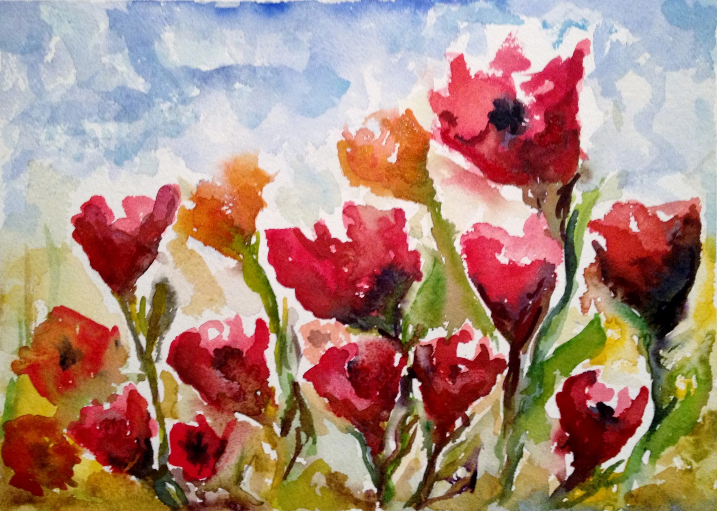 Gallery — Color&Water