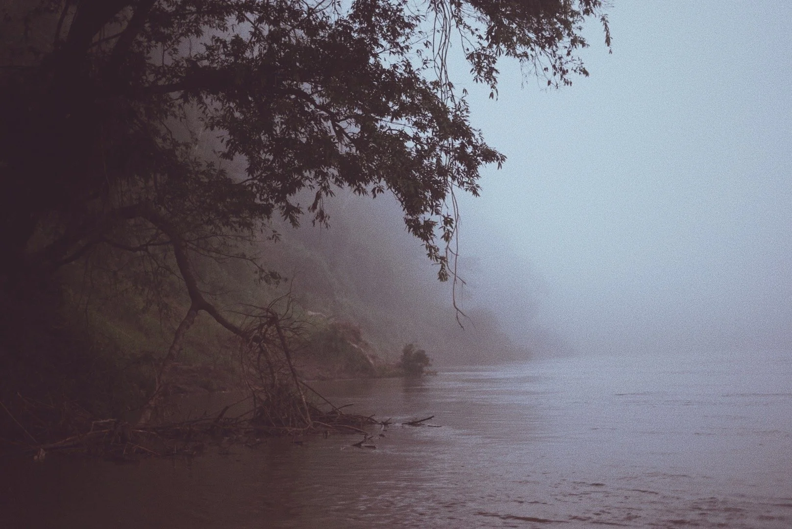 Photos — DOMINIC VEGA