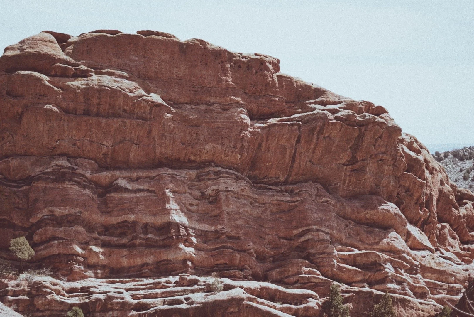 Photos — DOMINIC VEGA