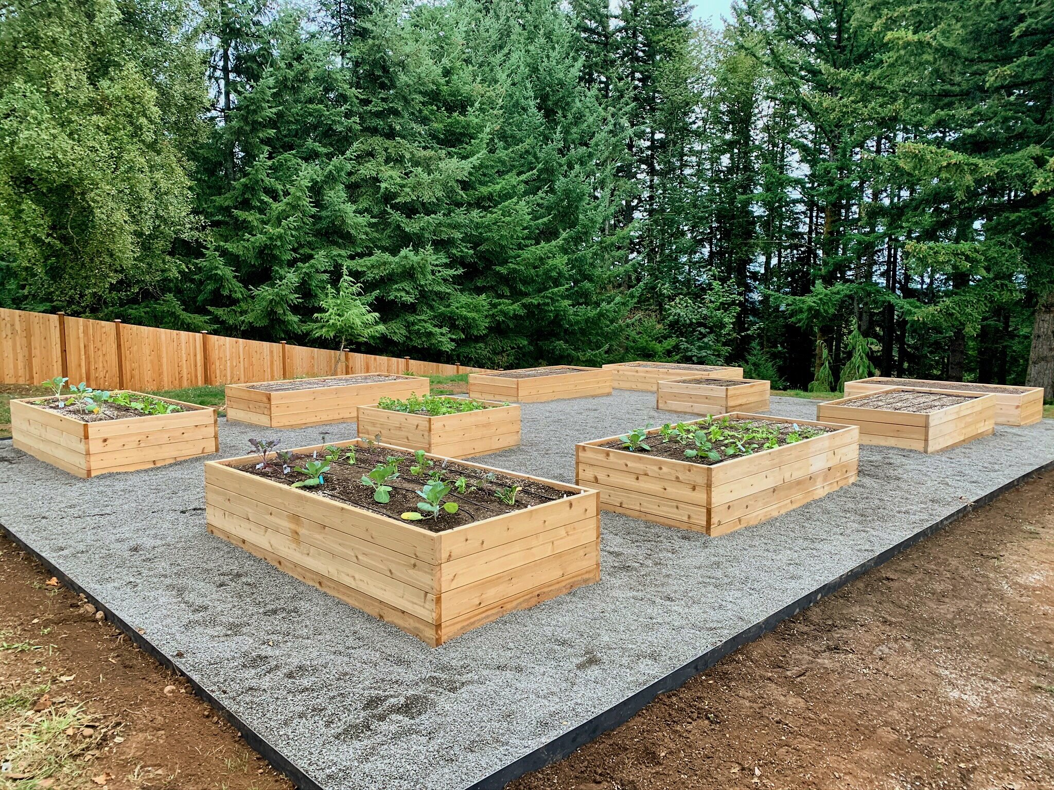 Raised Garden Bed Edging