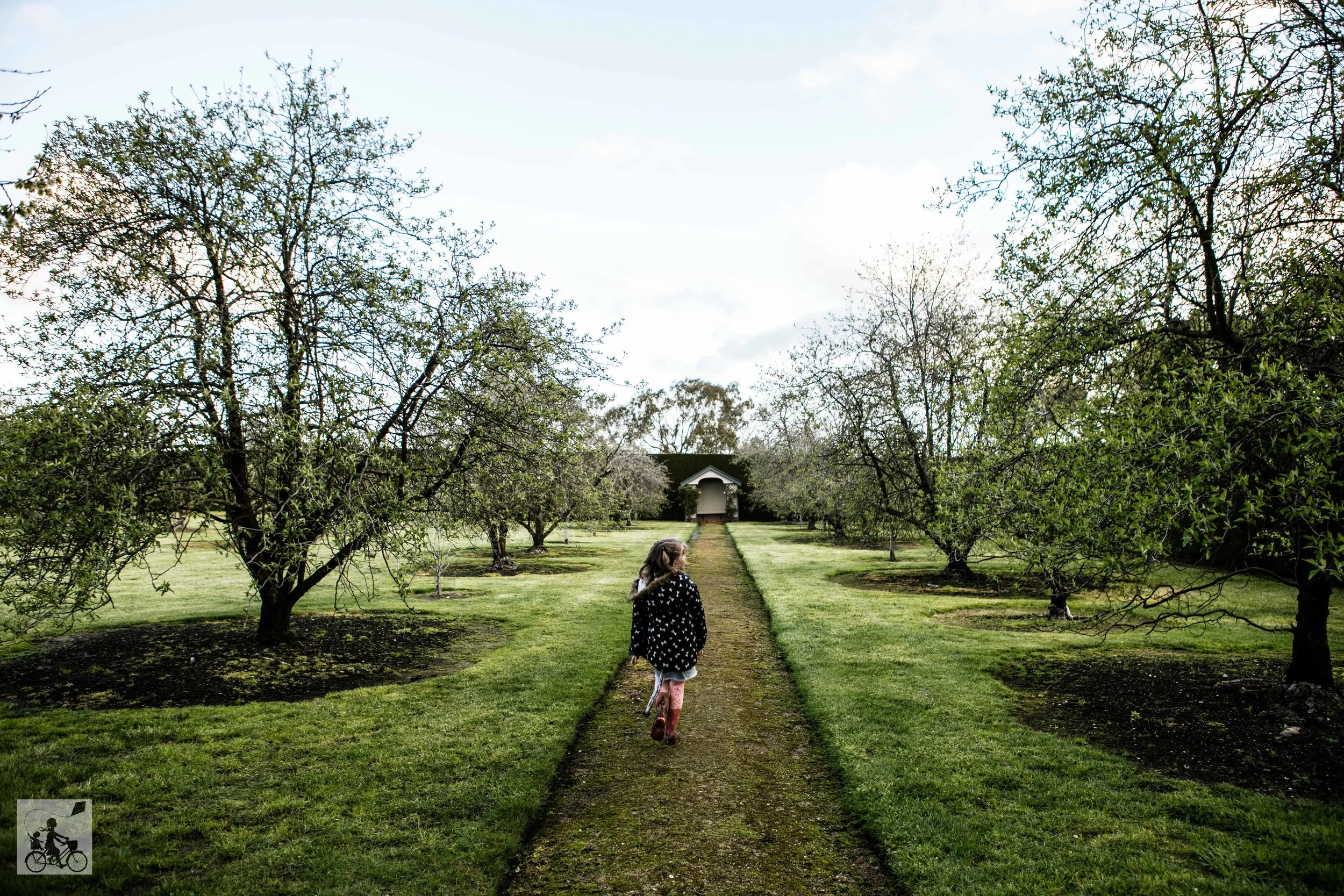mount mitchell homestead, lexton