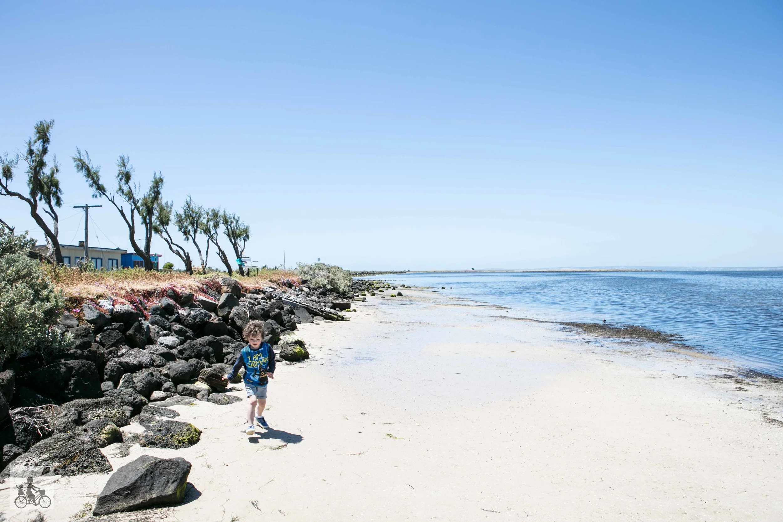 avalon beach, avalon