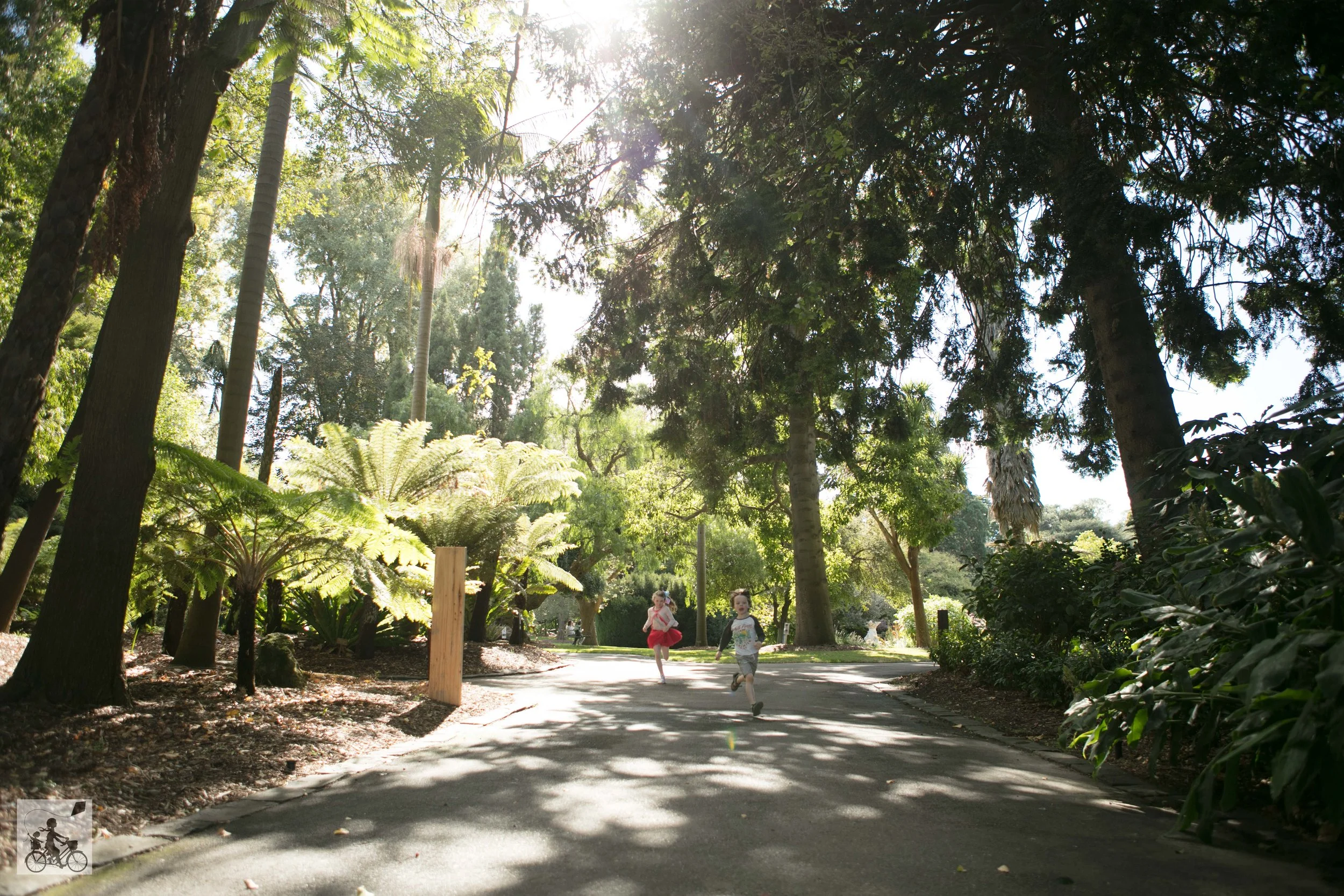 geelong botanical gardens. geelong