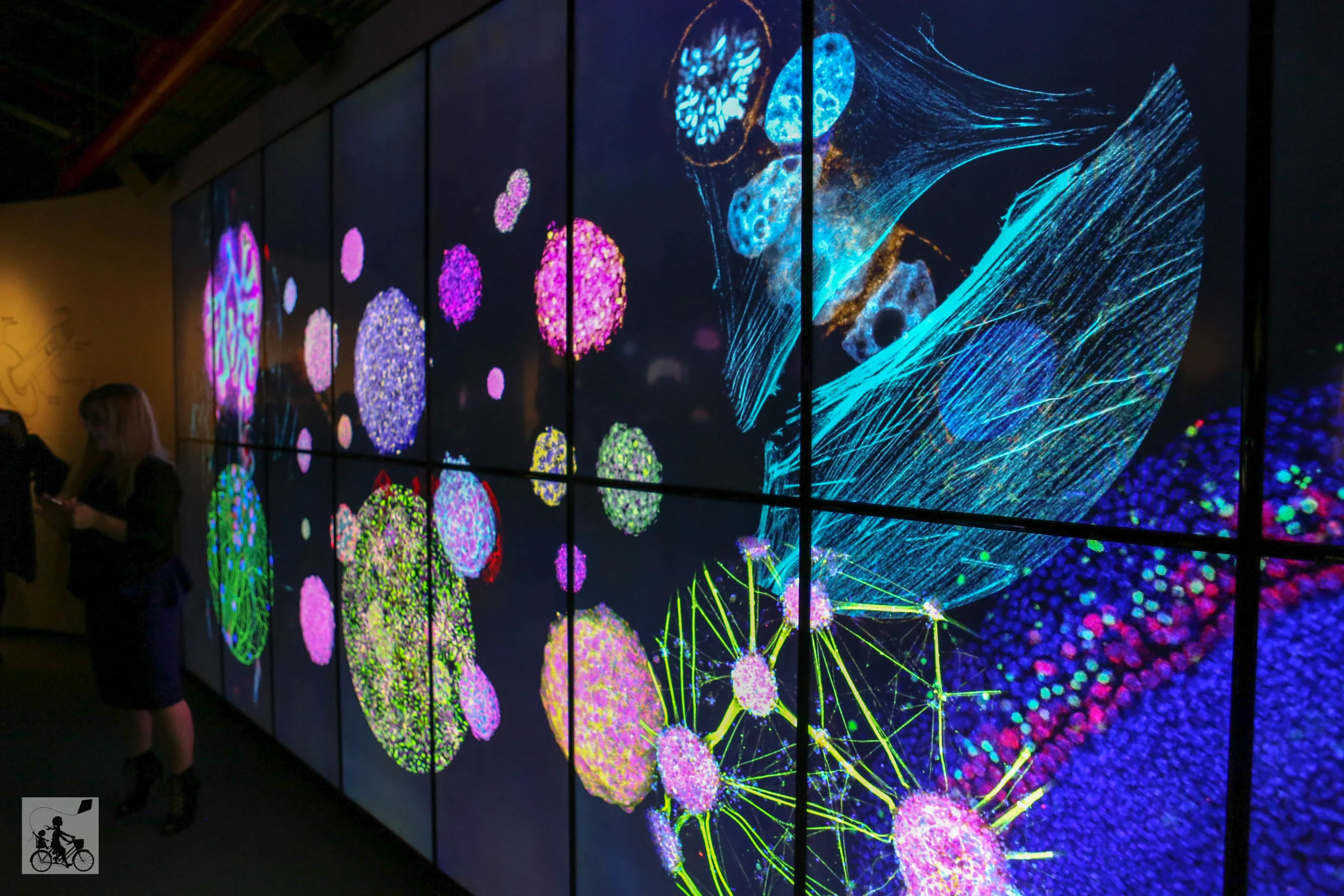 Beyond Perception at Scienceworks