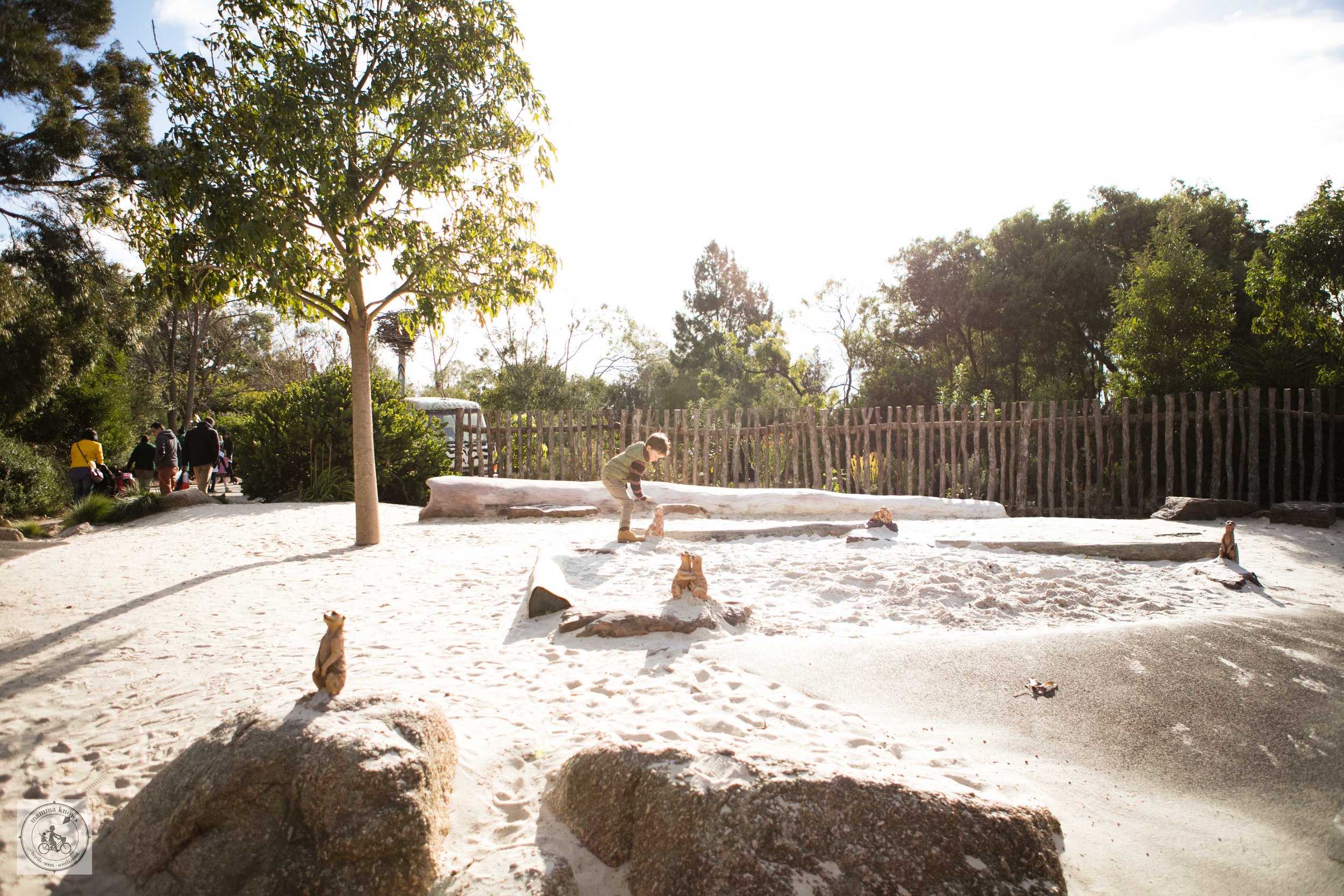 meerkat bistro and meerkat mayhem playspace, werribee open range zoo