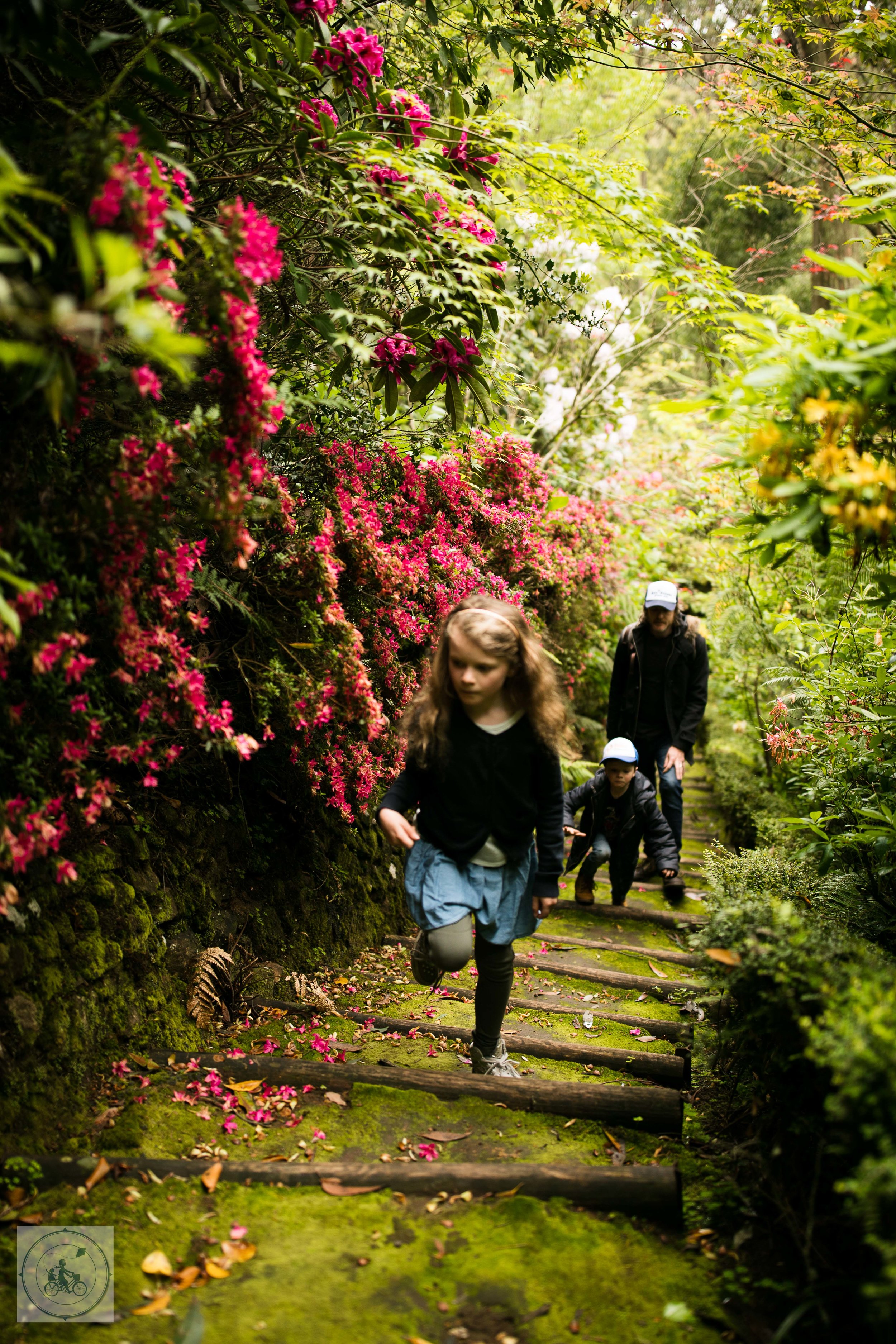 Forest Glade Gardens, Mt Macedon - Mamma Knows West