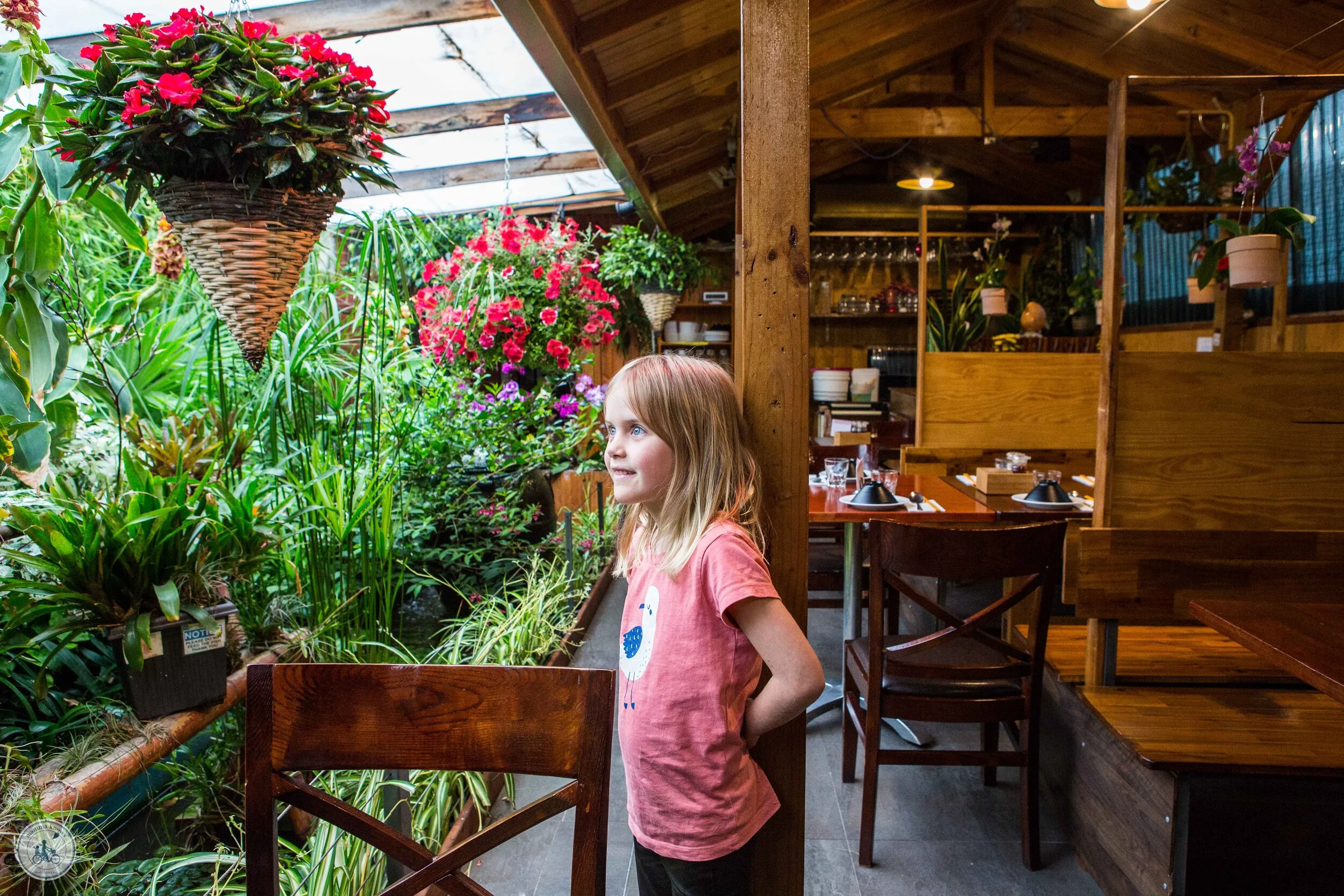 blue bamboo restaurant and cafe, braybrook