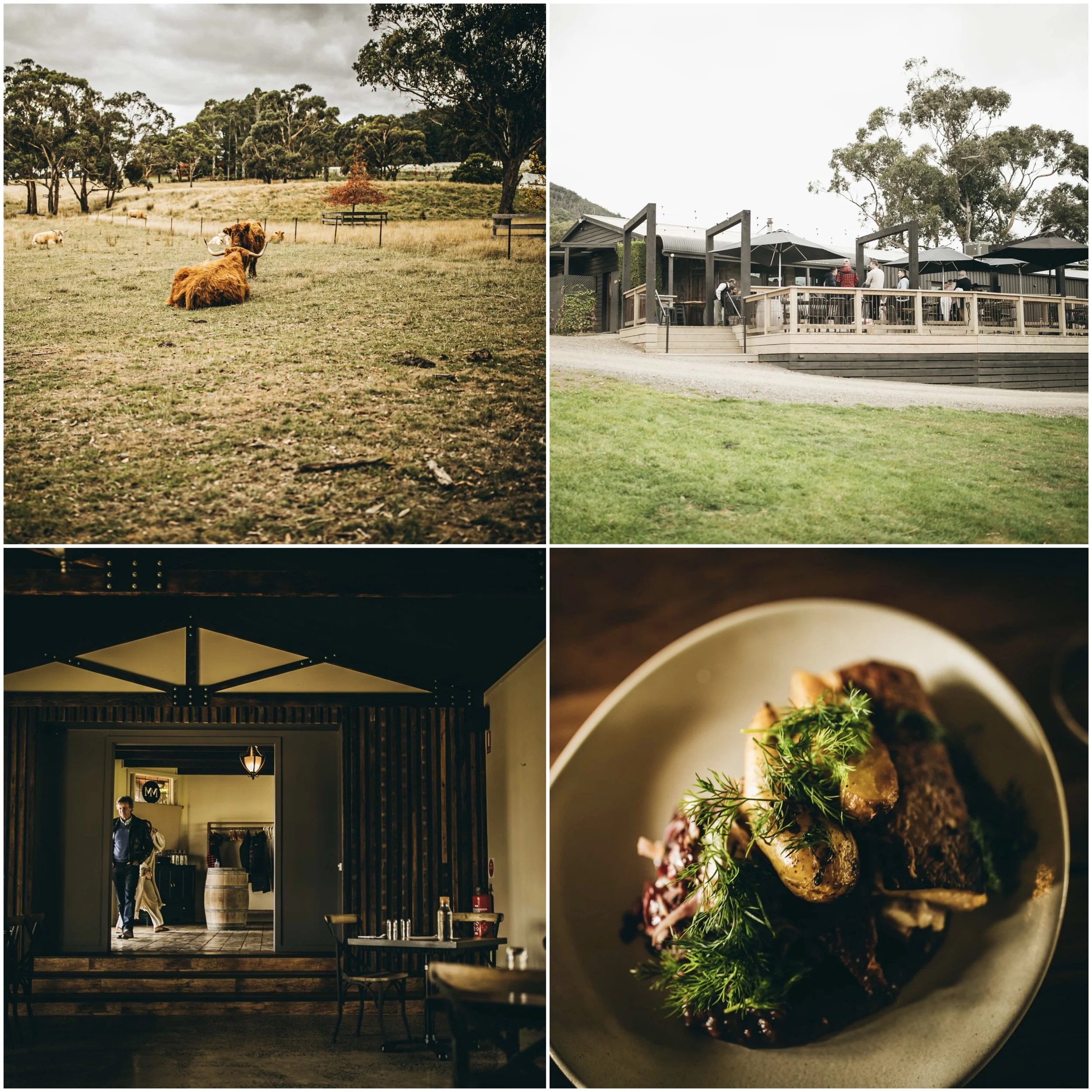 mount macedon winery, mount macedon