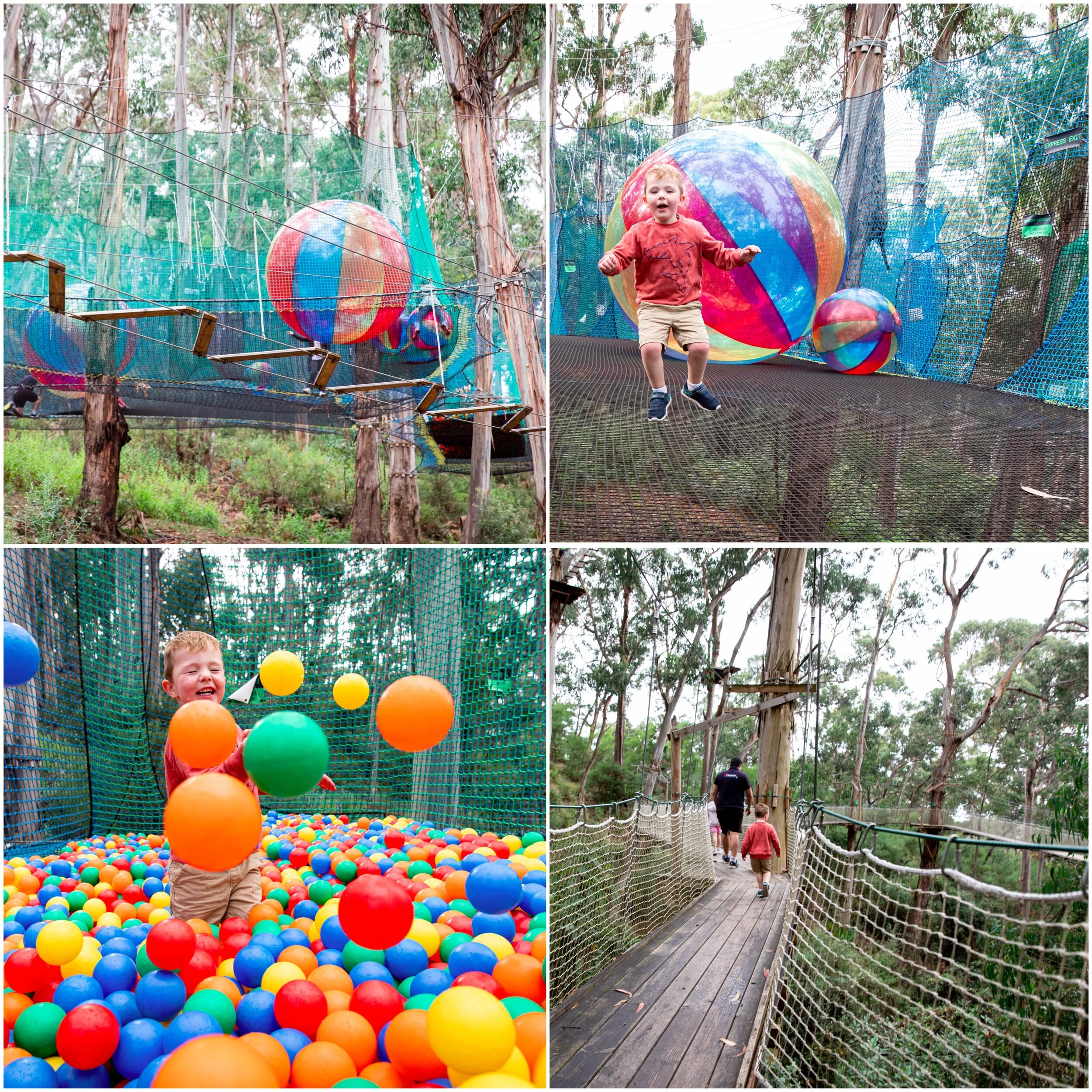 Live Wire Park, Lorne - mamma knows west