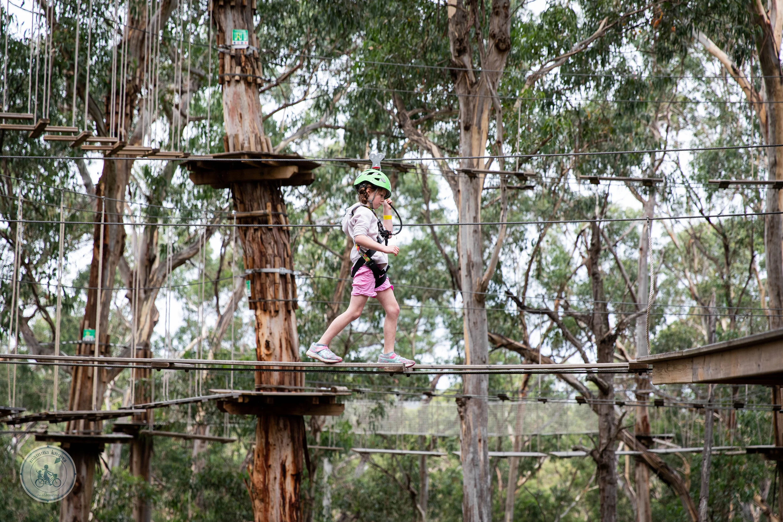 Live Wire Park, Lorne - mamma knows west