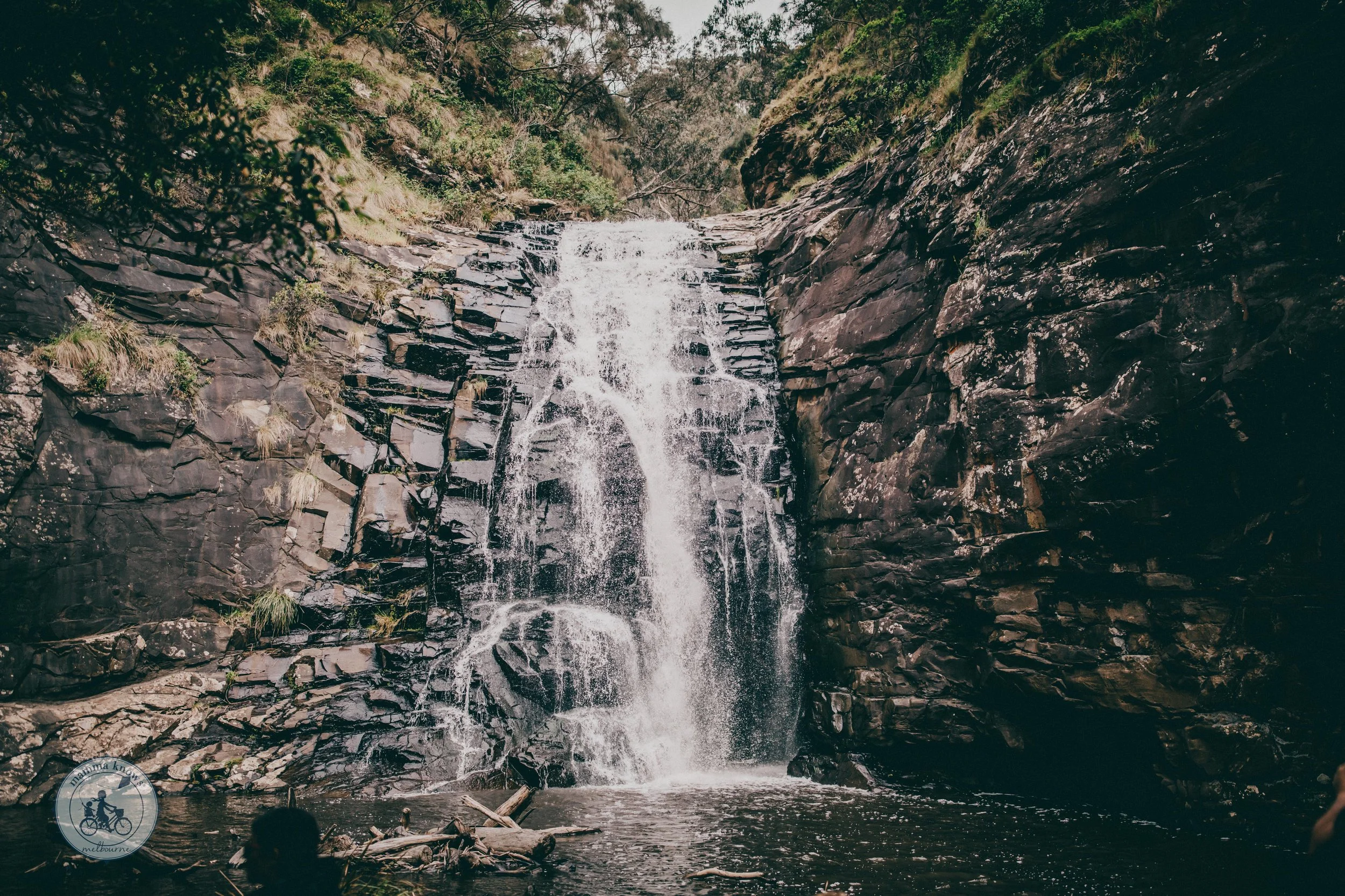 Sheoak Falls, Lorne | Mamma Knows West