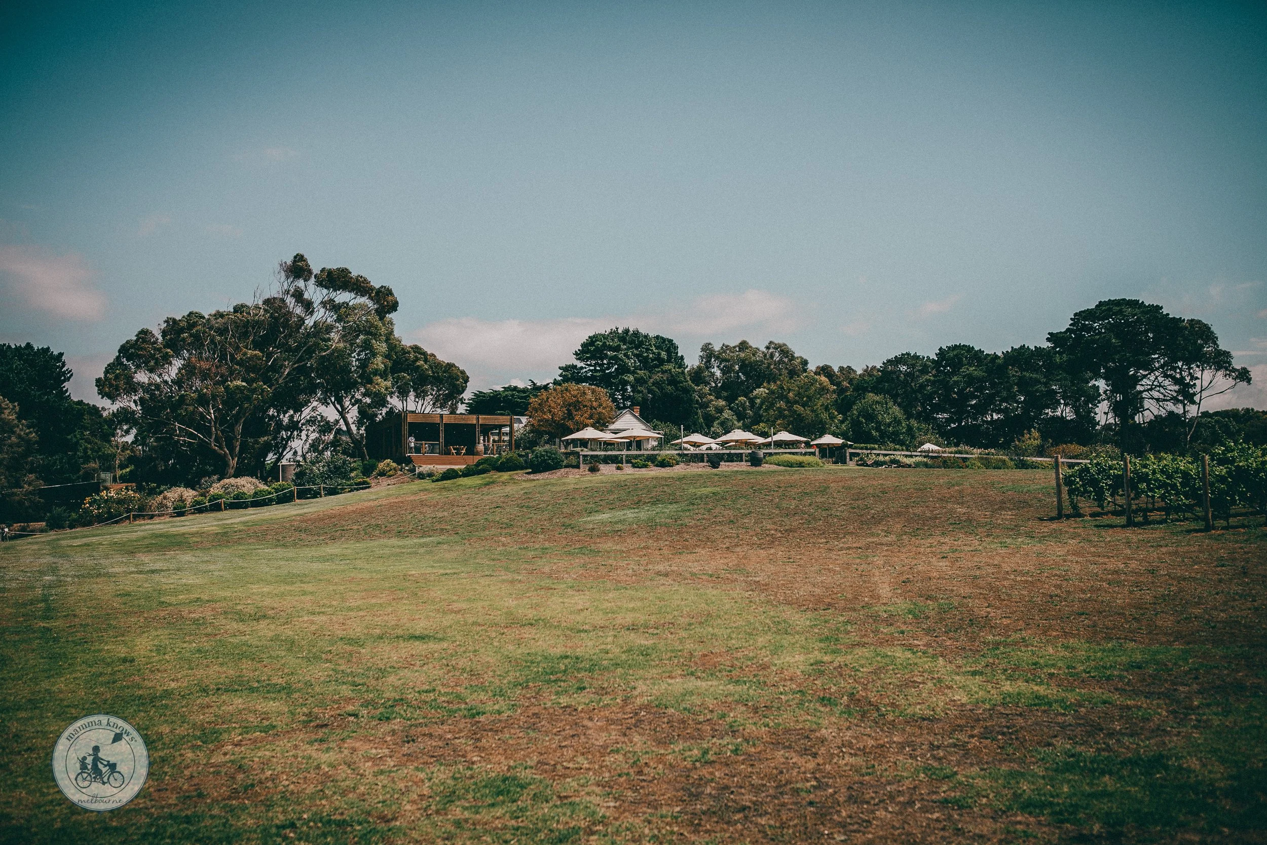 Basils Farm, Swan Bay | Mamma Knows West