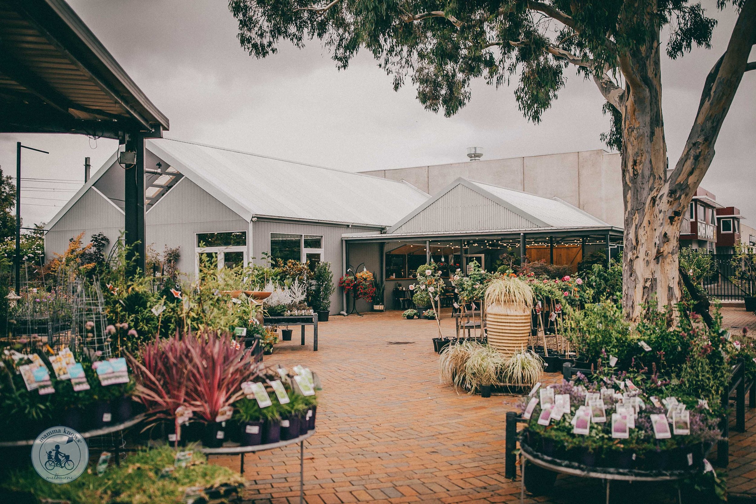 The Feasting Shed, Werribee - Mamma Knows West