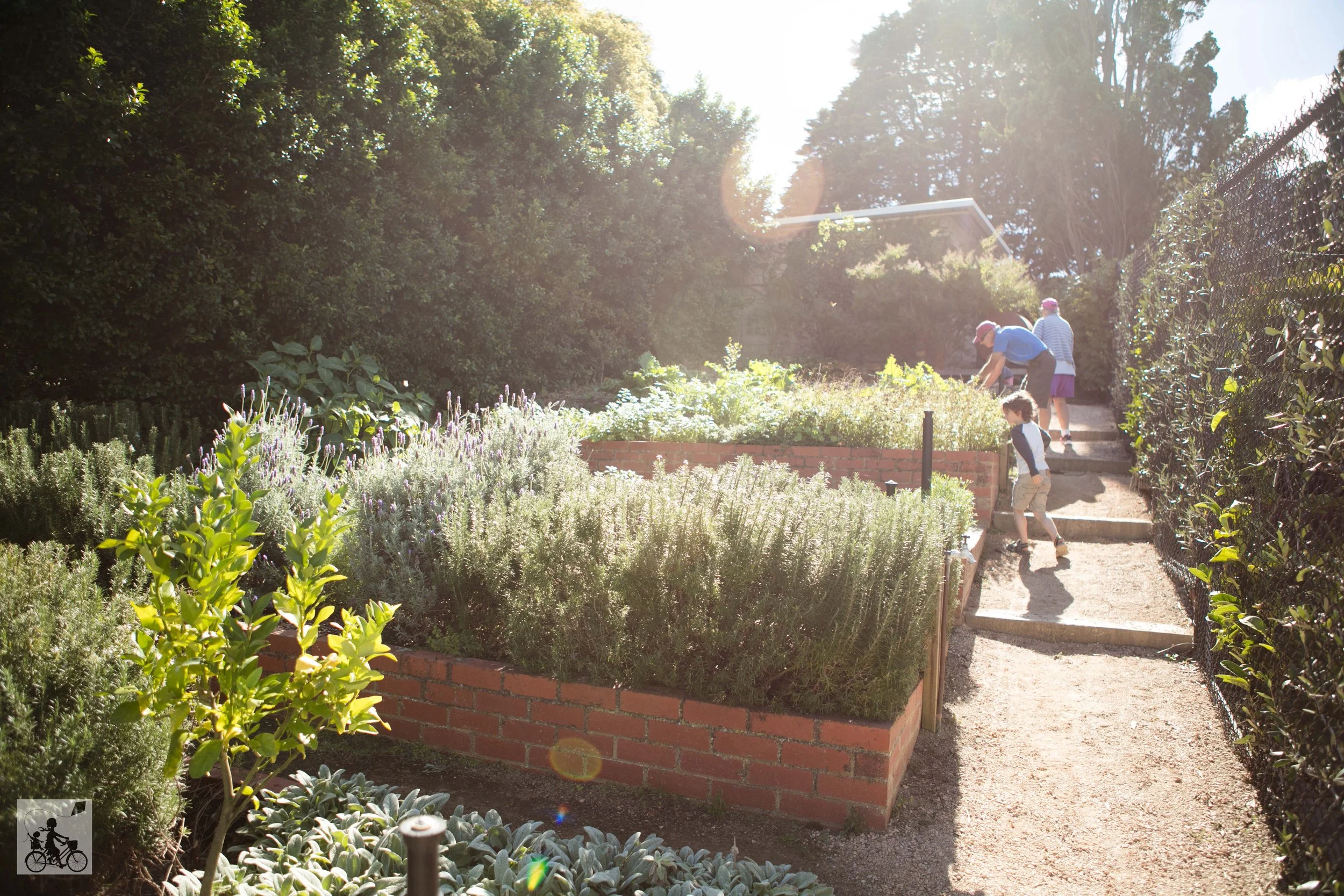 Geelong Botanic Gardens - mamma knows west