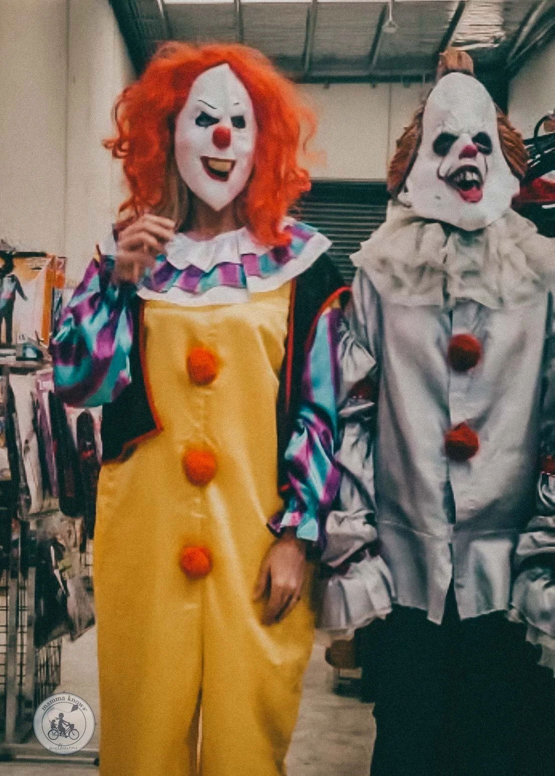 court jester fancy dress, laverton north