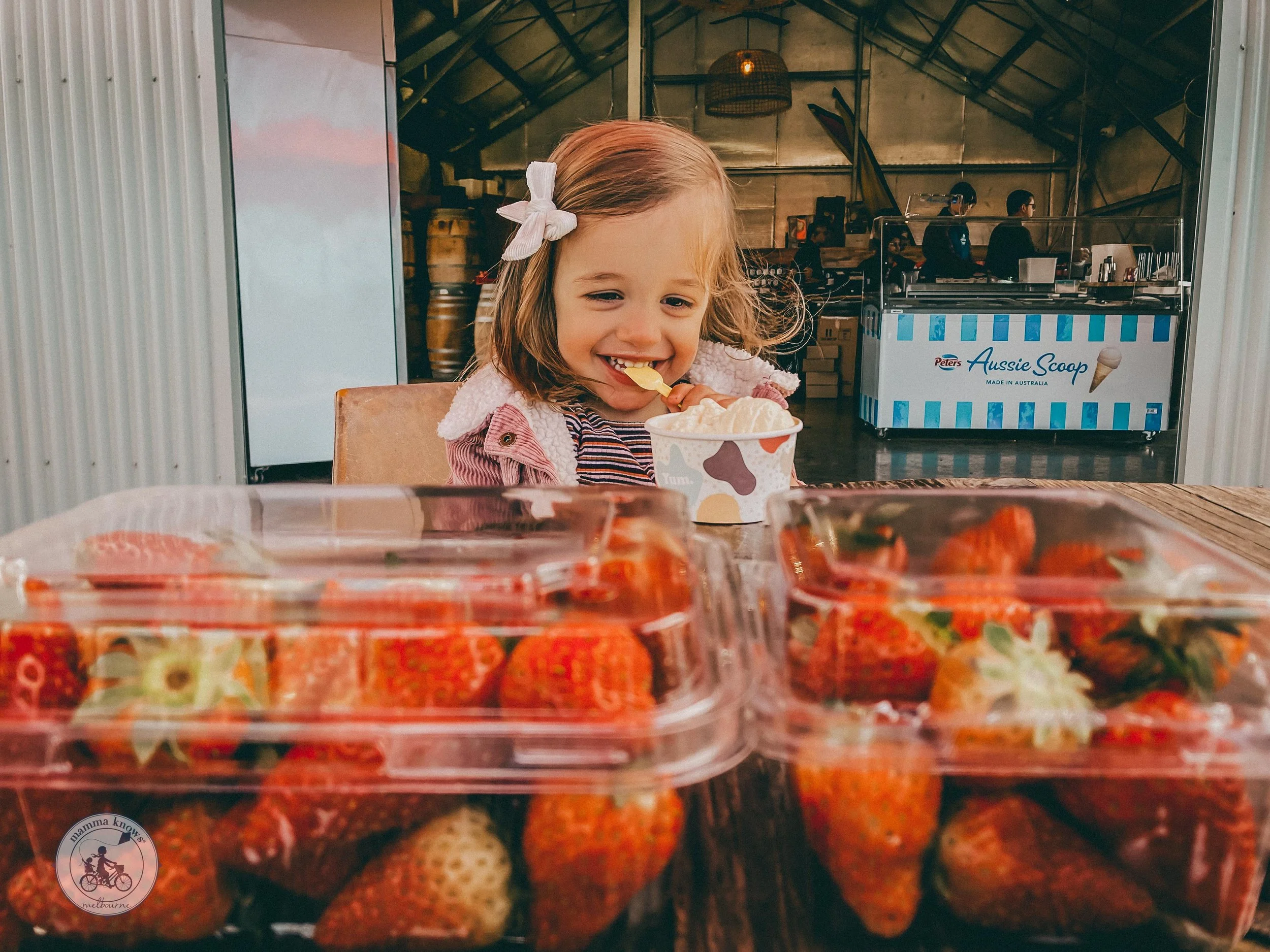 Surf Coast Strawberry Fields, Mount Duneed | Mamma Knows West