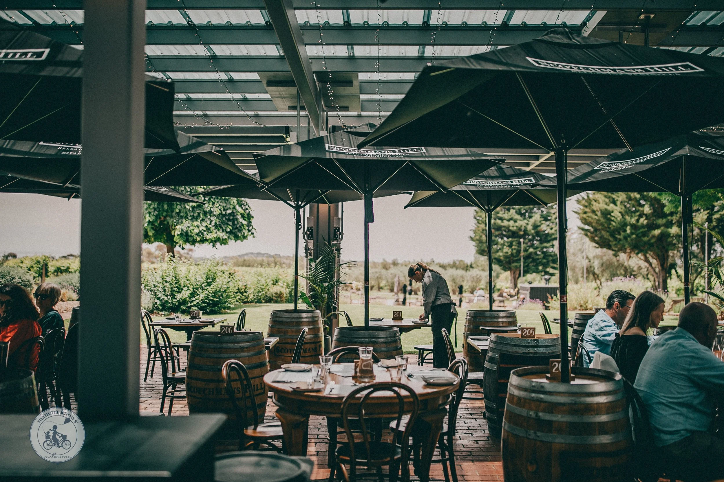 Scotchmans Hill Winery, Bellarine Peninsula | Mamma Knows West