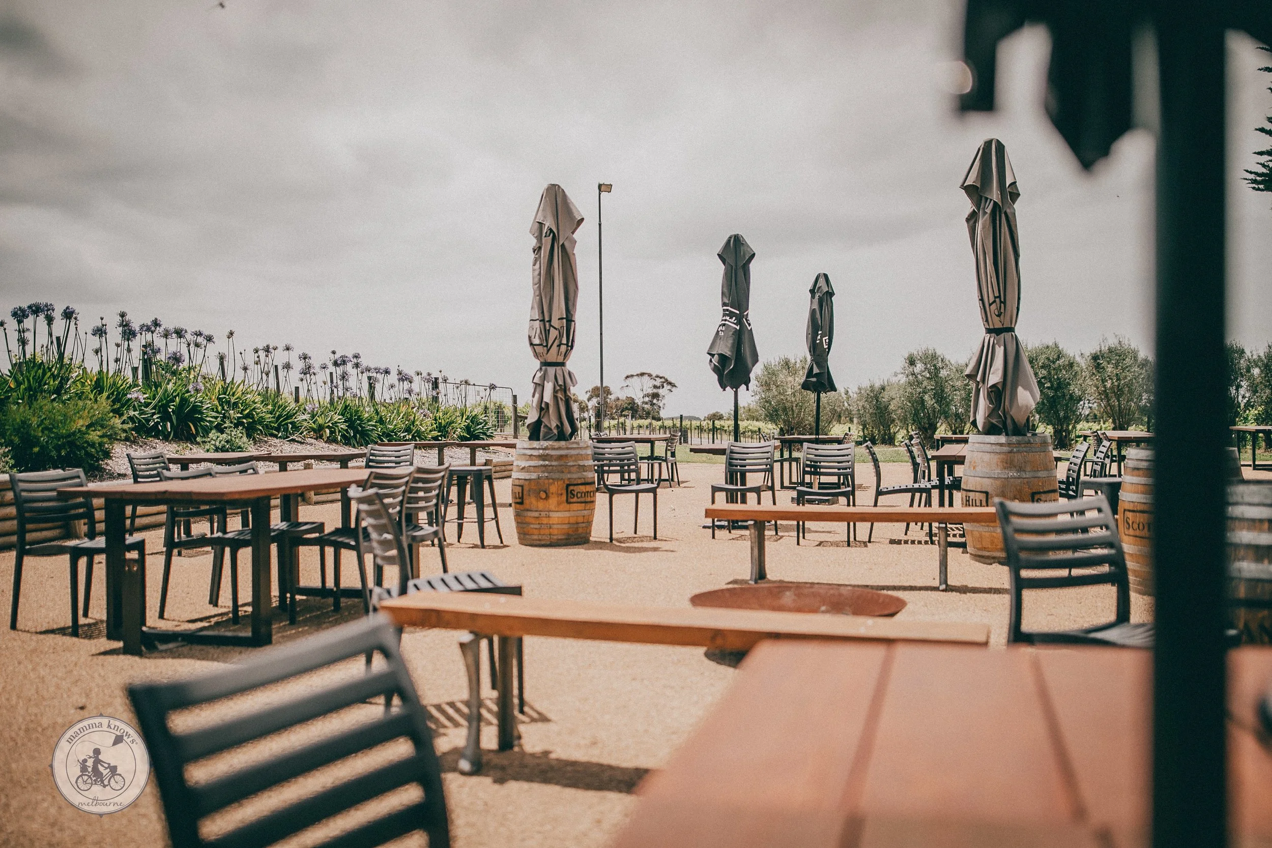 Scotchmans Hill Winery, Bellarine Peninsula | Mamma Knows West