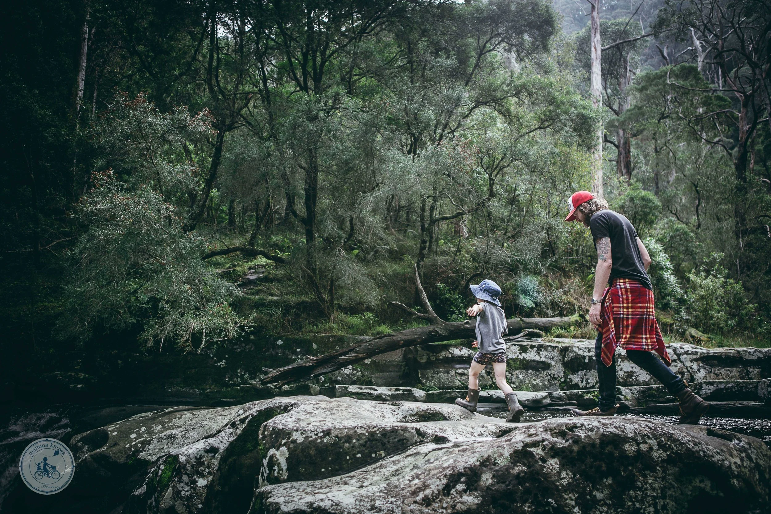 Jebbs Pool, Cumberland River | Mamma Knows West
