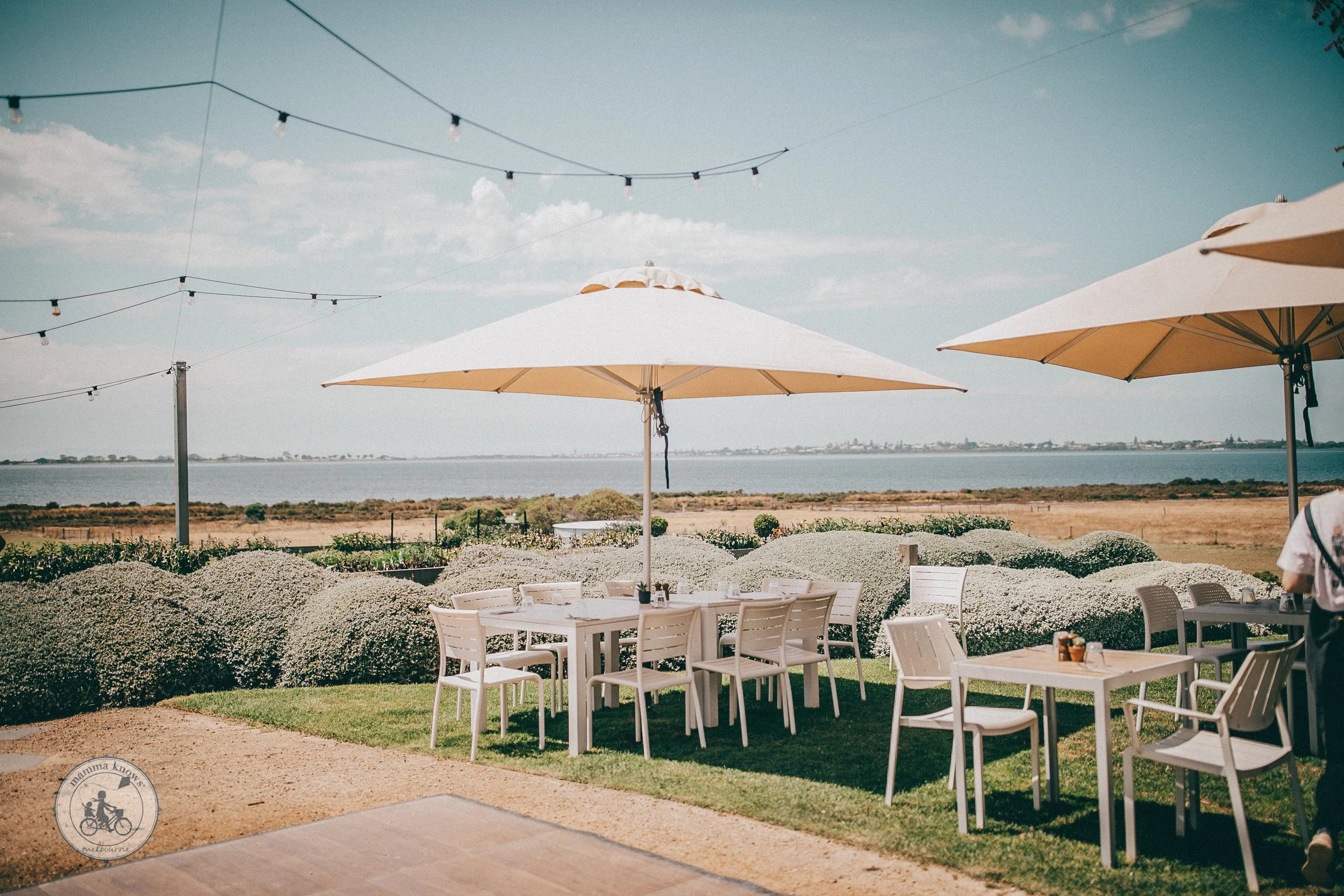 Basils Farm, Swan Bay | Mamma Knows West