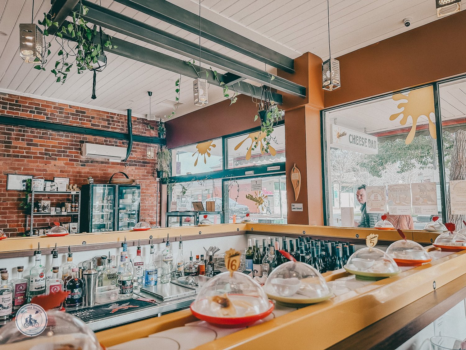 Splatters Cheese Bar, Geelong | Mamma Knows West