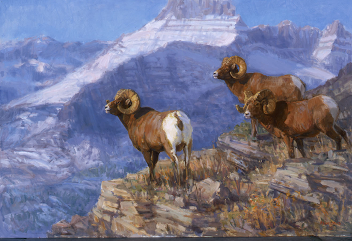 Glacier Park Mt Wilbur Big Horn Sheep by Joe Abbrescia Glacier National ...