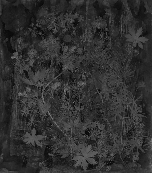Flora Hysterica Wallpaper — MARTIN BERGSTRÖM