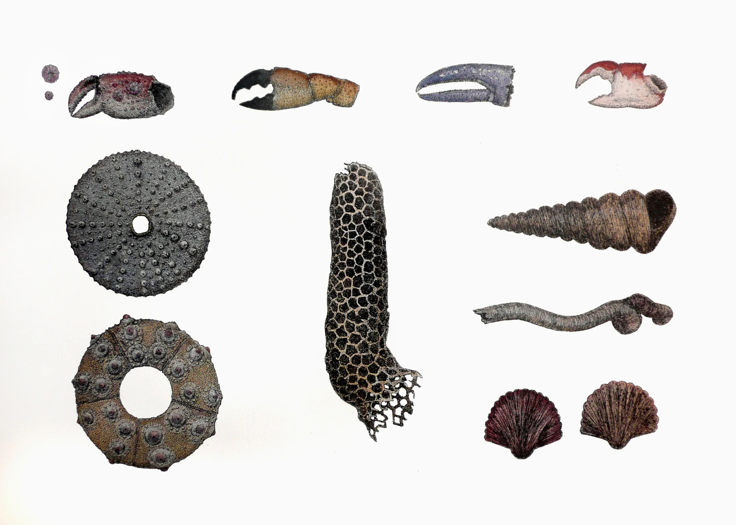 'Geometry and Precision' (2012) — Angus Fisher Arts