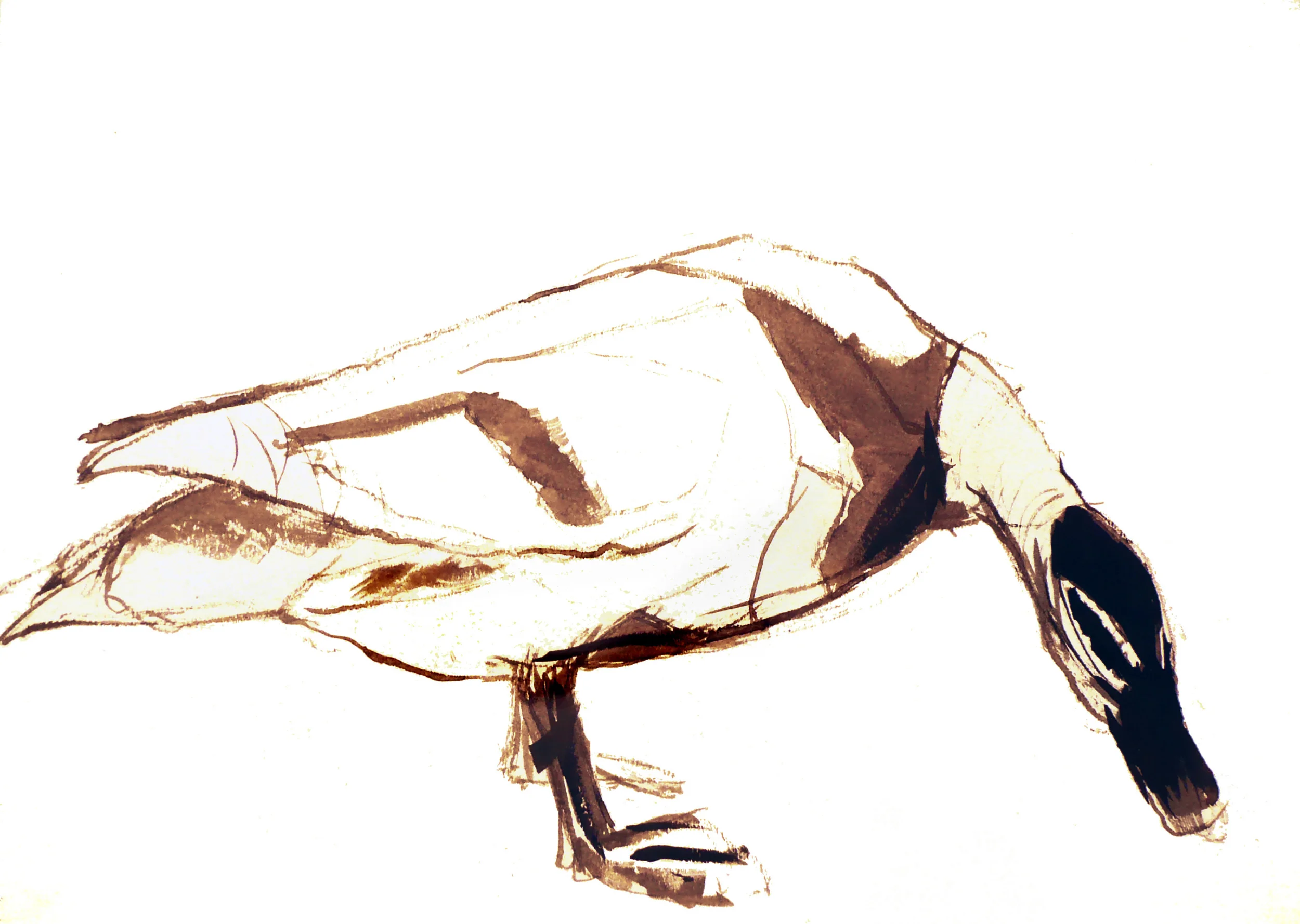 'NAS Emerging Talent' - Graduate Exhibition (2011) — Angus Fisher Arts