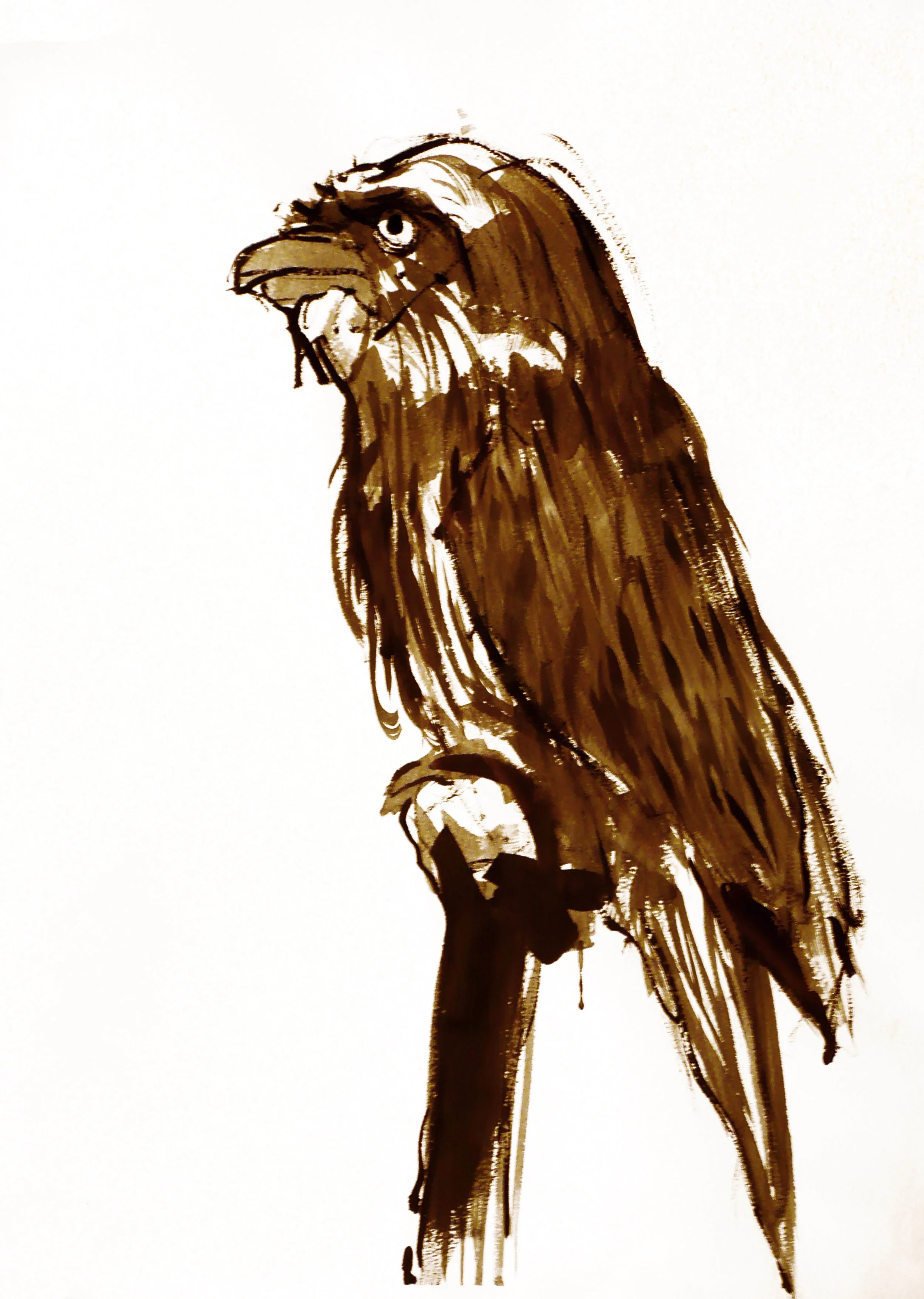 'NAS Emerging Talent' - Graduate Exhibition (2011) — Angus Fisher Arts