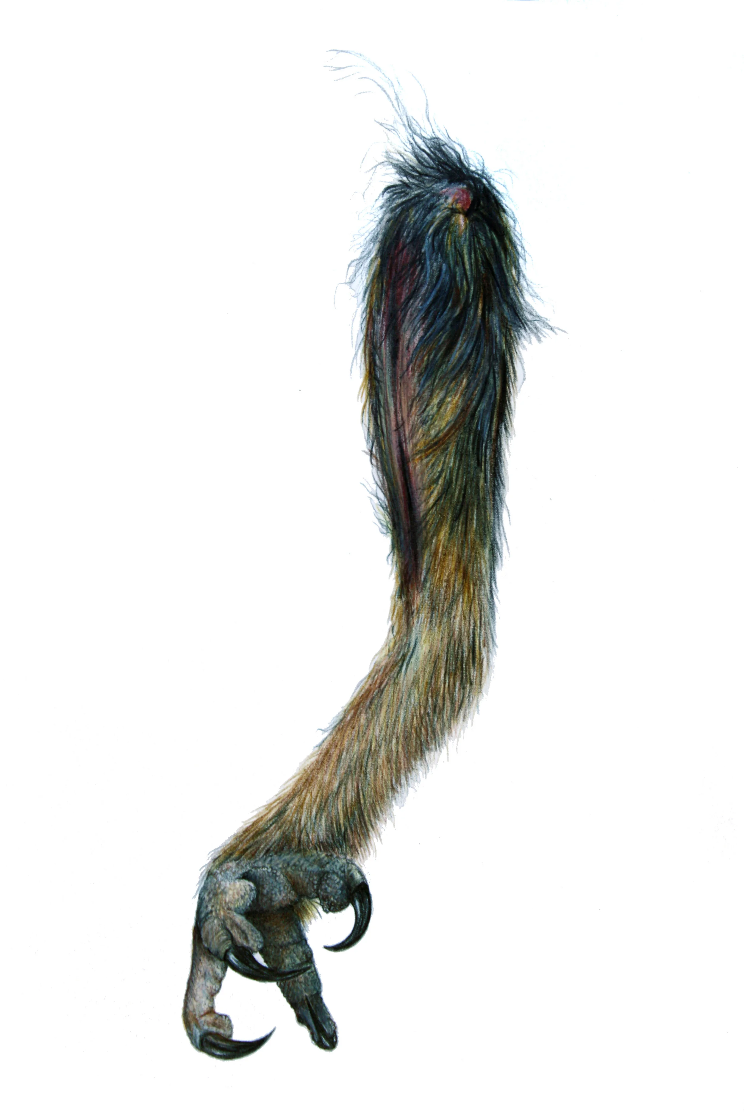 'NAS Emerging Talent' - Graduate Exhibition (2011) — Angus Fisher Arts