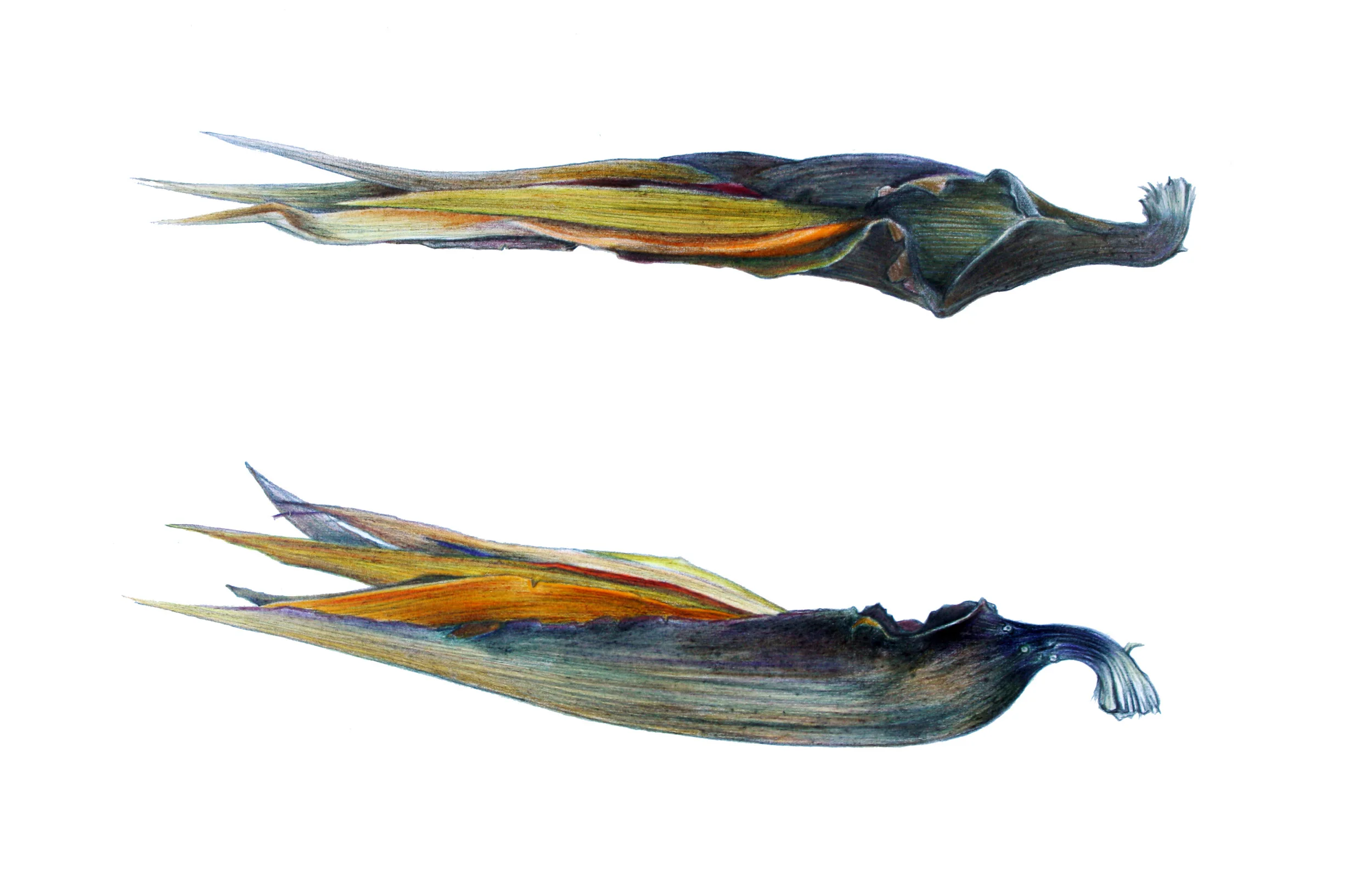 'NAS Emerging Talent' - Graduate Exhibition (2011) — Angus Fisher Arts