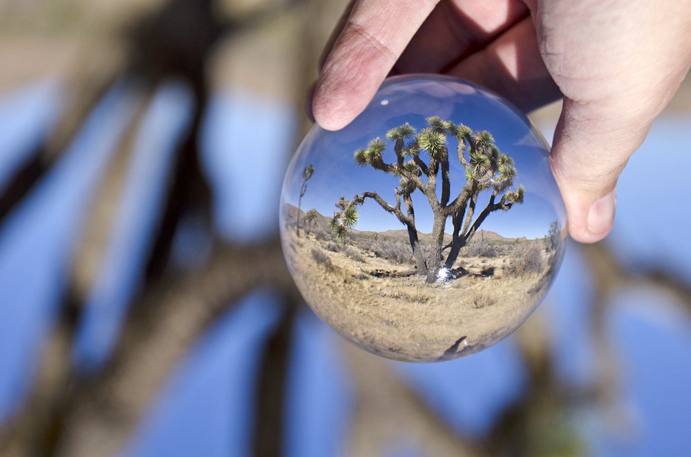 Return to Samuelson's Rocks - Joshua Tree National Park — Cali49