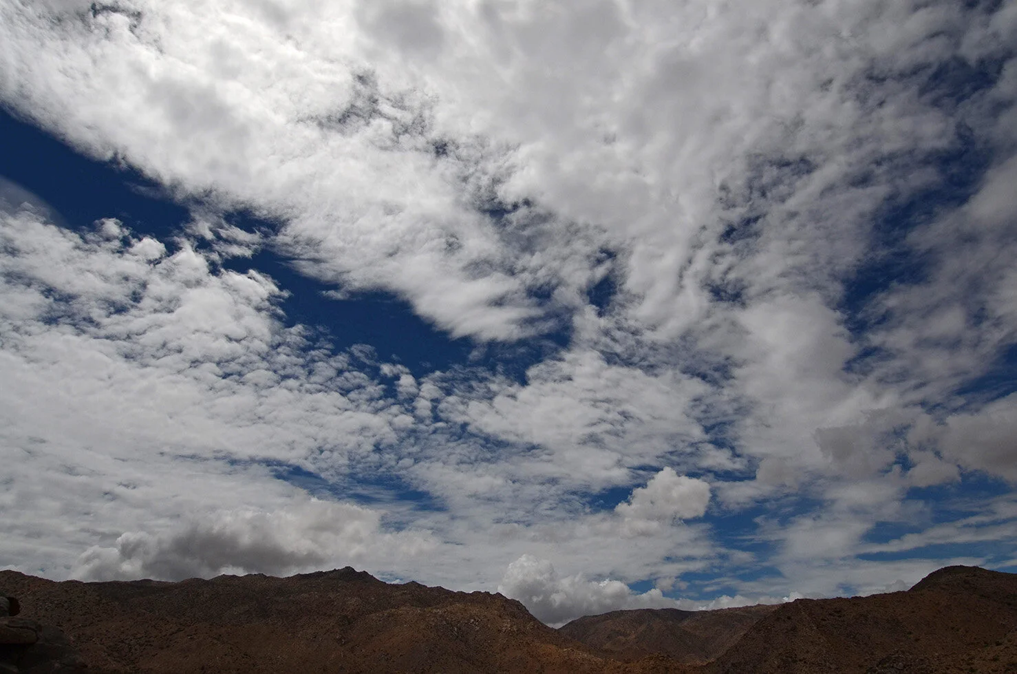 Looking Back, Wishing Forward - Joshua Tree National Park — Cali49
