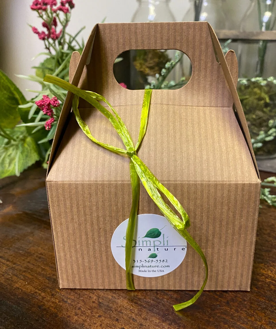 Simpli Nature All Natural Soy Lotion Candles Hand Poured in the ...