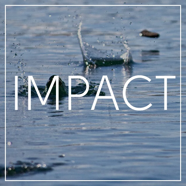 IMPACT — MissionPREP