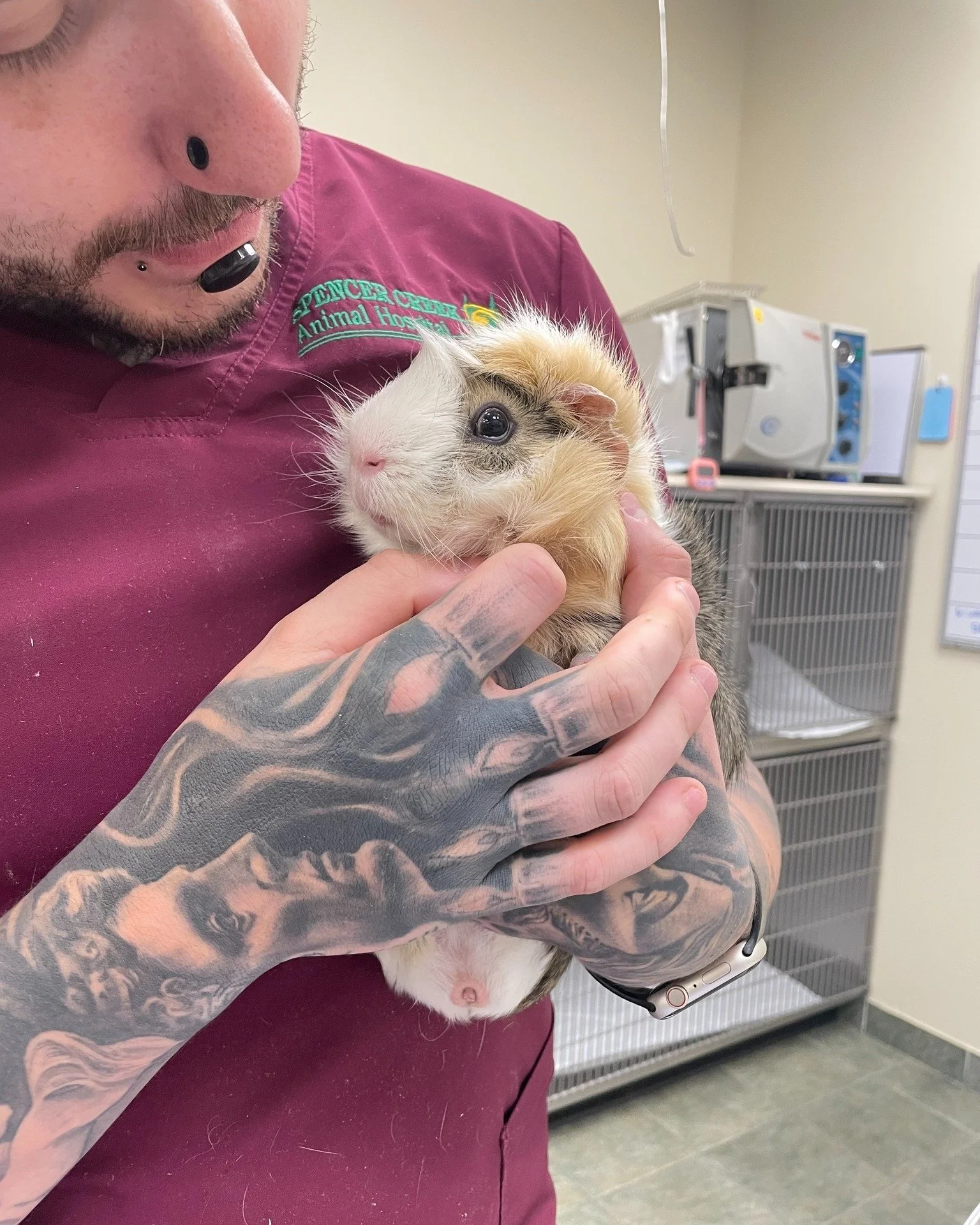 Dr Angela Whelan | Dr Dave Mills | Dr Laura Bond | Dr Kristyne Smith ...