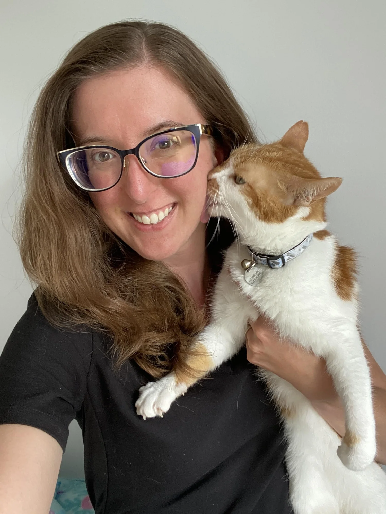 Veterinarians — Dr Angela Whelan | Dr Dave Mills | Dr Laura Bond | Dr ...