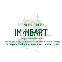 Our Facility — Dr. Angela Whelan, Dr. Dave Mills & Associates