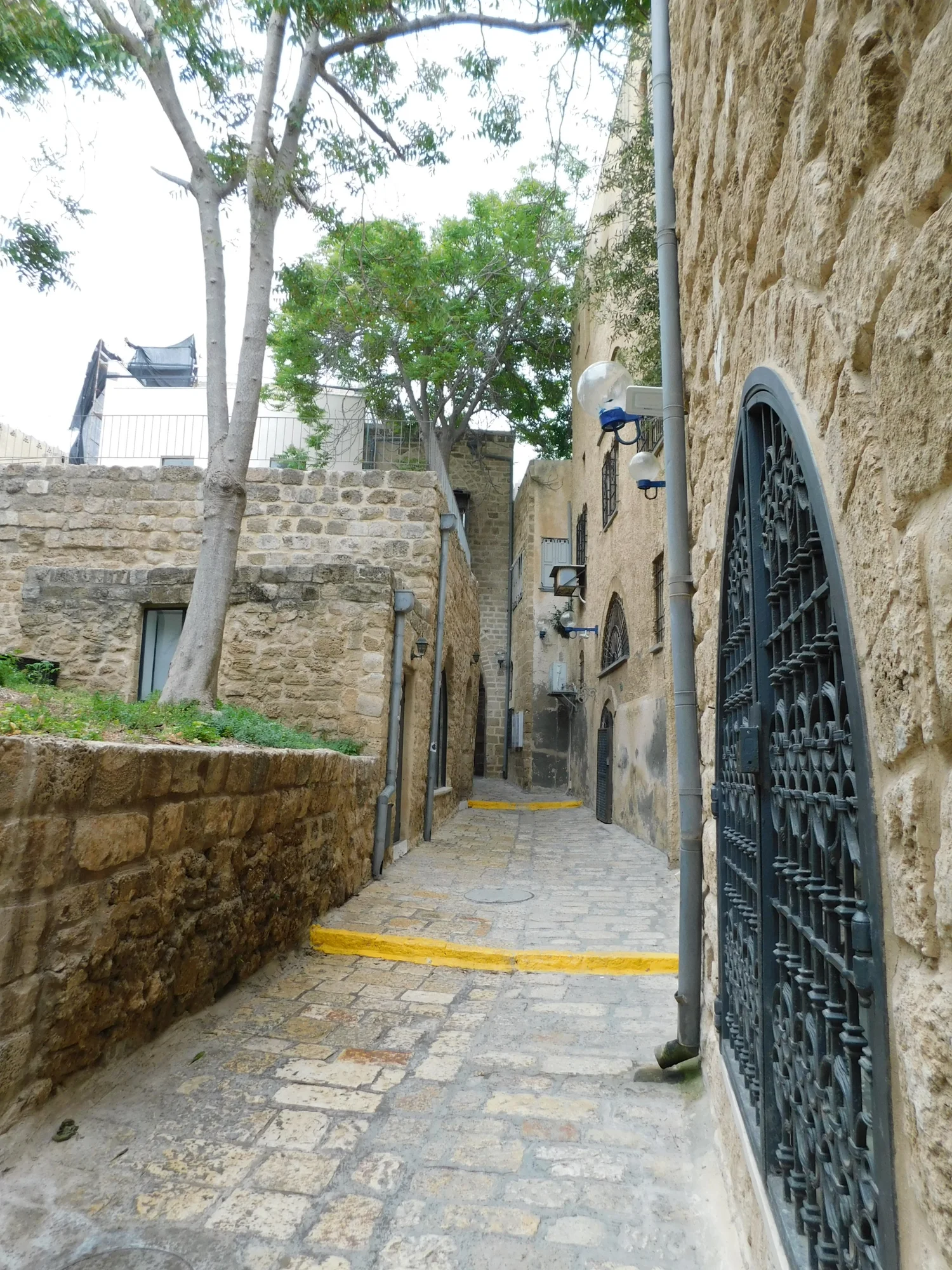 The Gospel Spreads - A Devotional about Joffa — Song For Israel