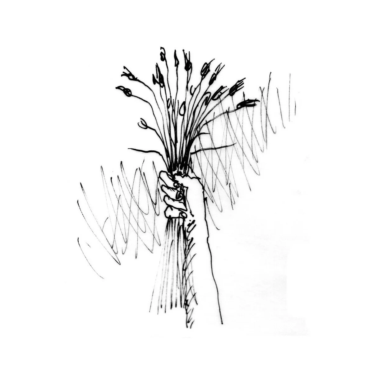 Shavuot and Pentecost -- Jews and Gentiles in One Body — Song For Israel