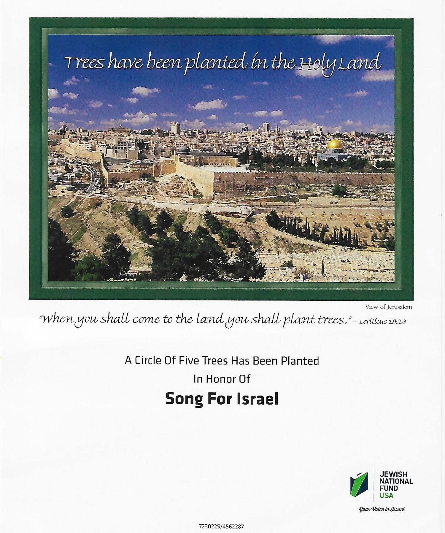 Song For Israel Planted Five Trees in Israel — Song For Israel