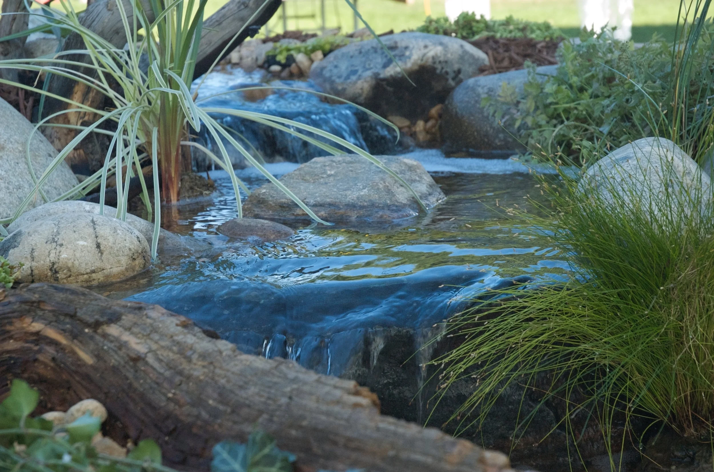 Waterfalls of Denver