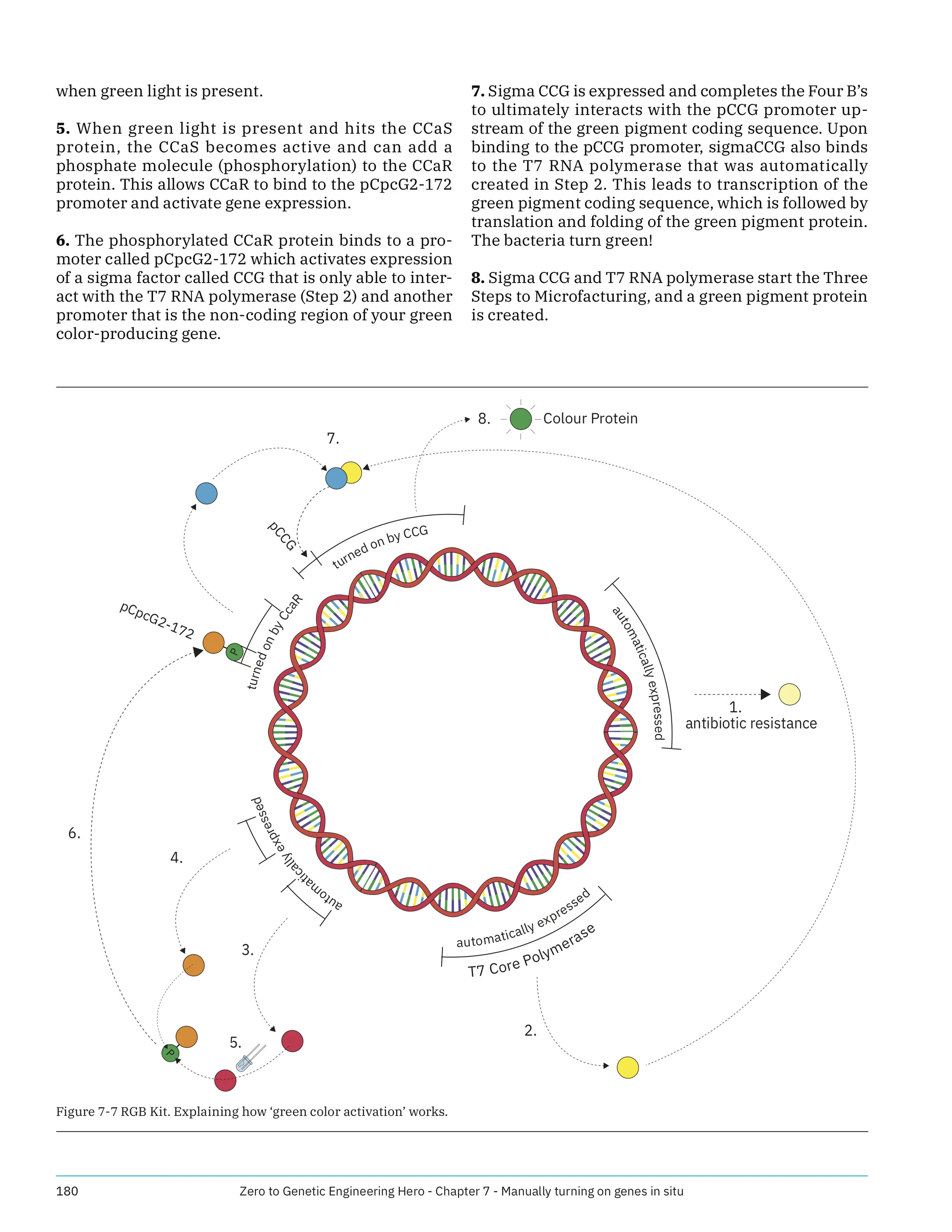 Zero to Genetic Engineering Hero — Julie Legault