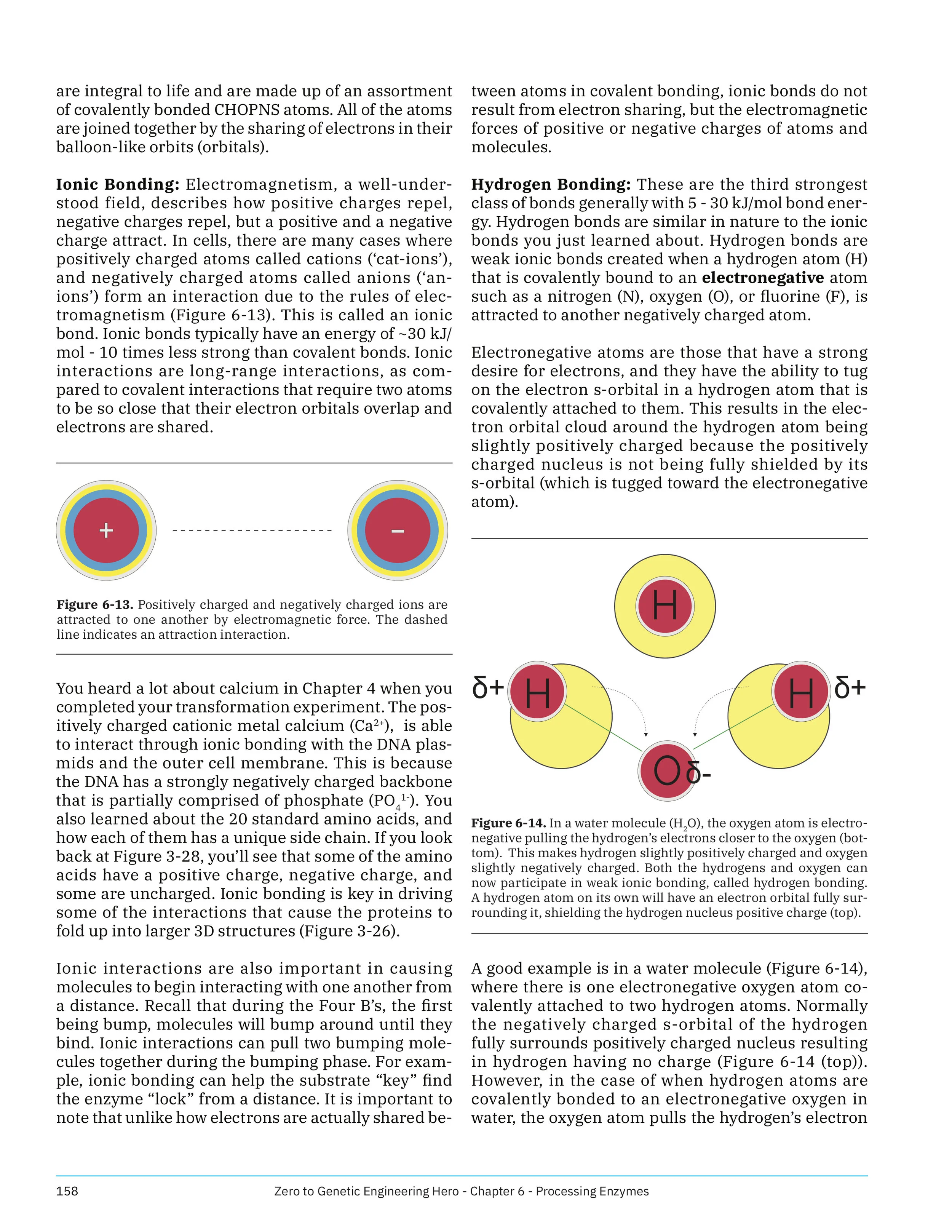Zero to Genetic Engineering Hero — Julie Legault