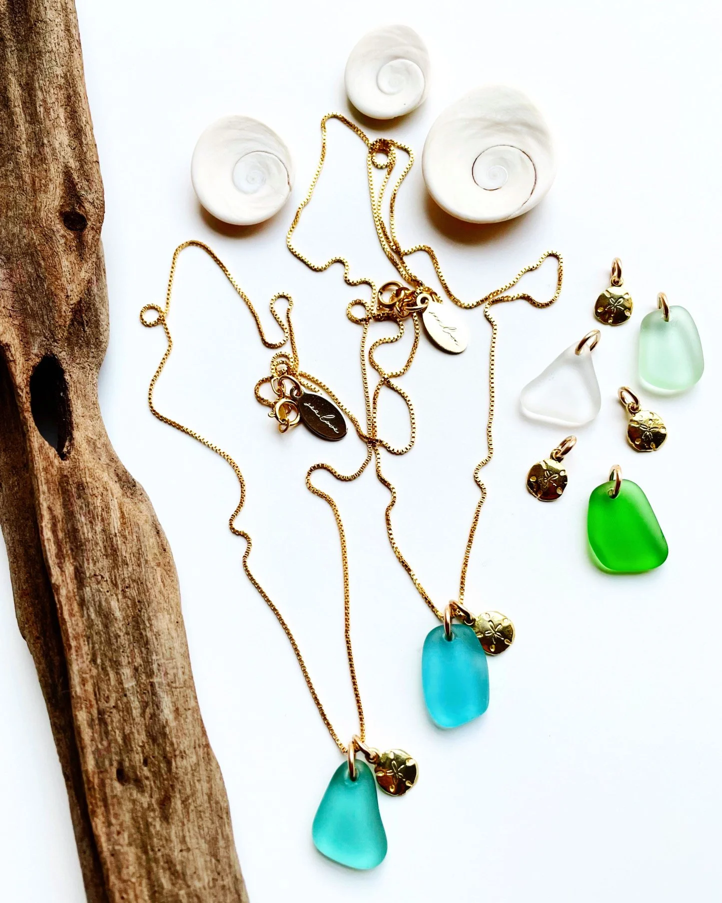 SAND DOLLAR / SEA SHELL NECKLACE — SEA AND GLASS